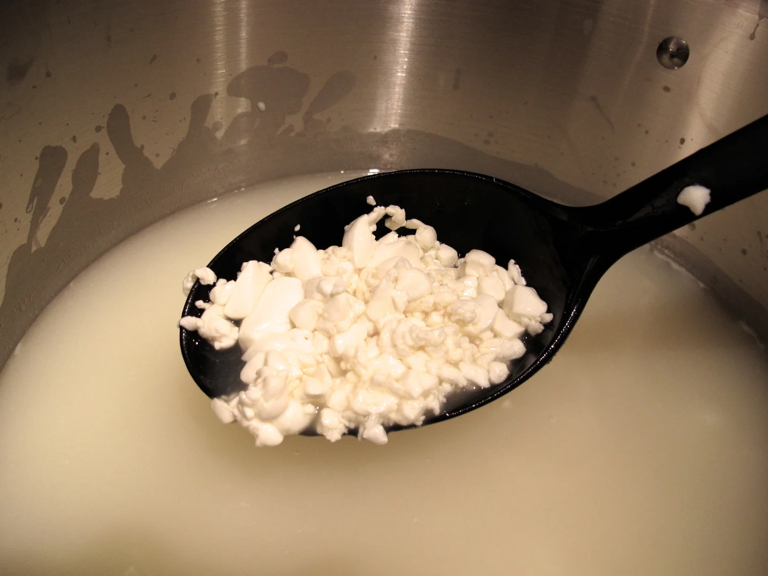 Cottage Cheese Making — Tasting Page
