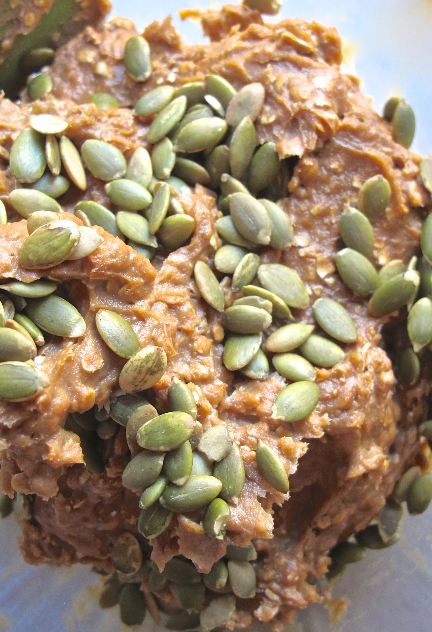 No Bake Pumpkin Walnut Balls — Tasting Page