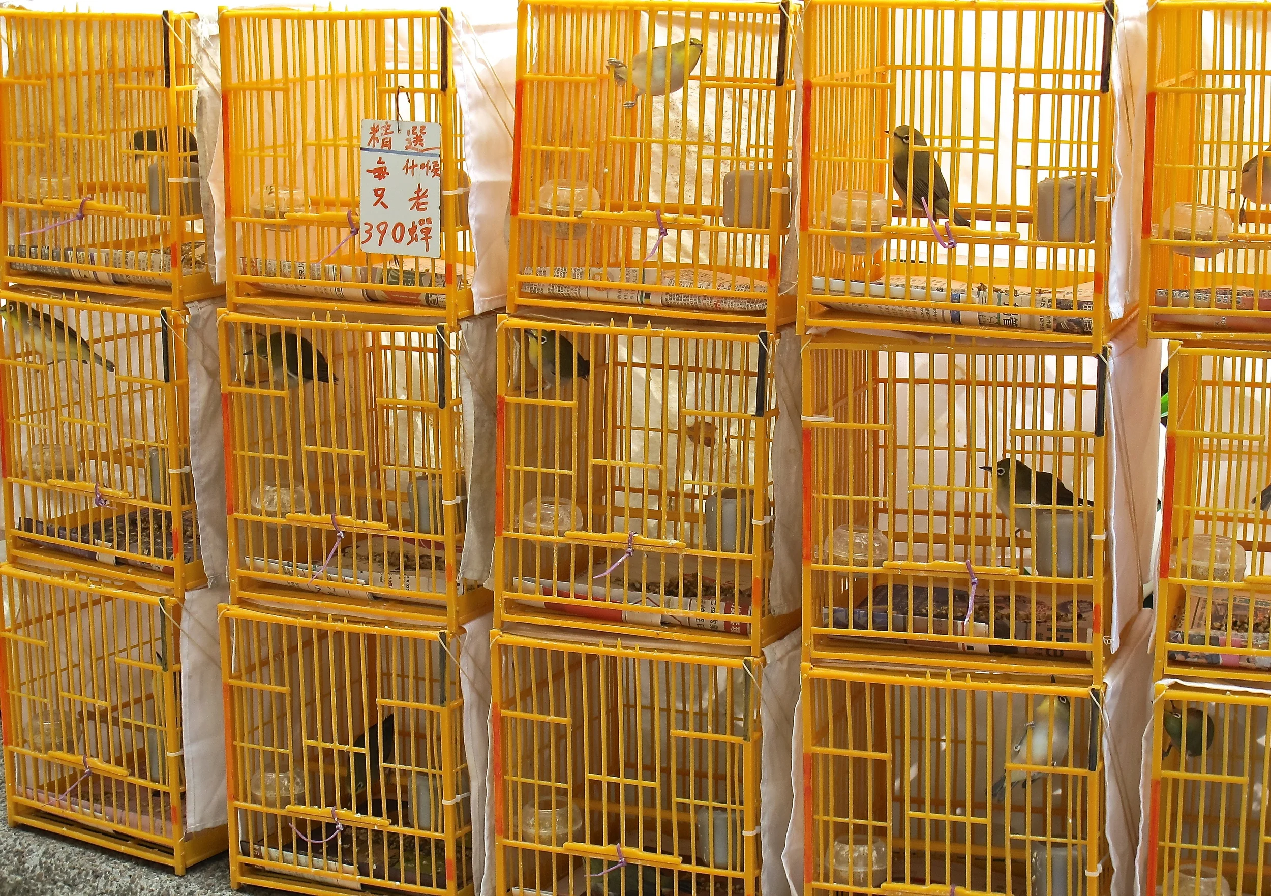 Hong Kong Highlights — Tasting Page