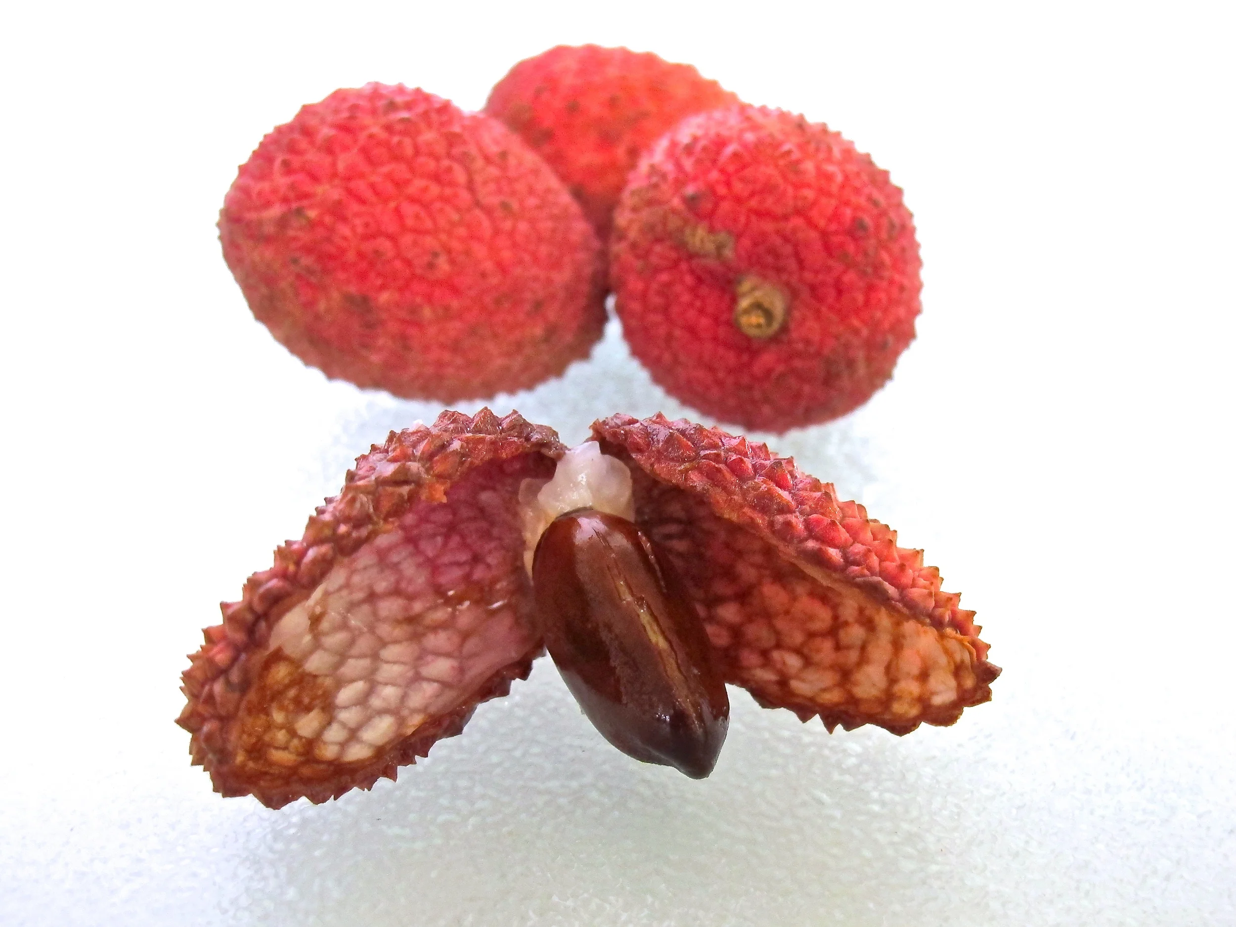 Fresh Fruit Lychee Martini — Tasting Page