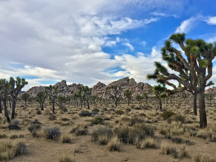 Exploring Sound Meditation at The Integratron Joshua Tree — Tasting Page