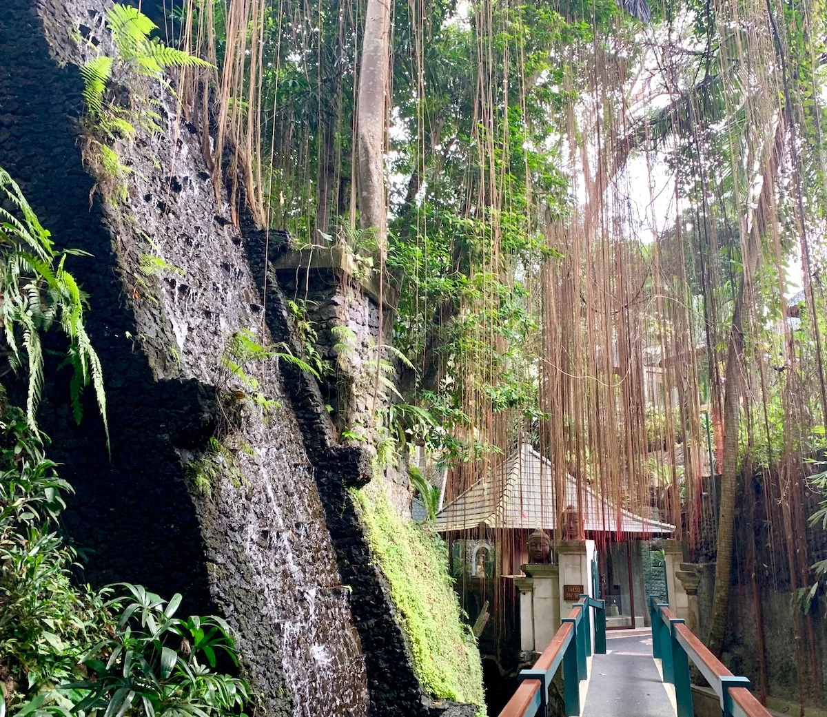 Best Yoga, Dance, and Spa Experiences in Ubud Bali — Tasting Page