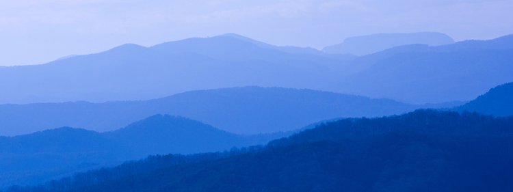 Nine Times Forest — Naturaland Trust