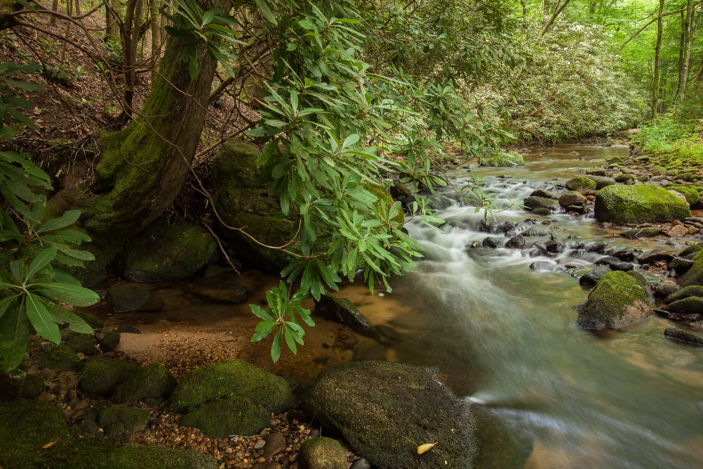 Green Mountain — Naturaland Trust