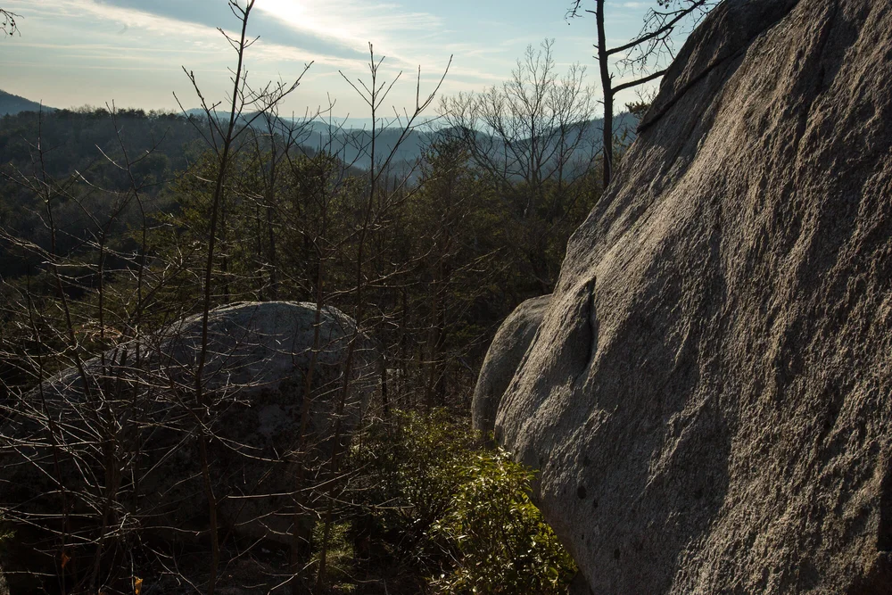 Nine Times Forest — Naturaland Trust