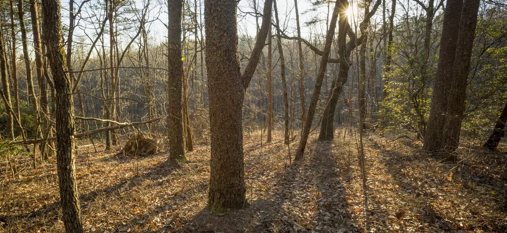 Paris Mountain — Naturaland Trust