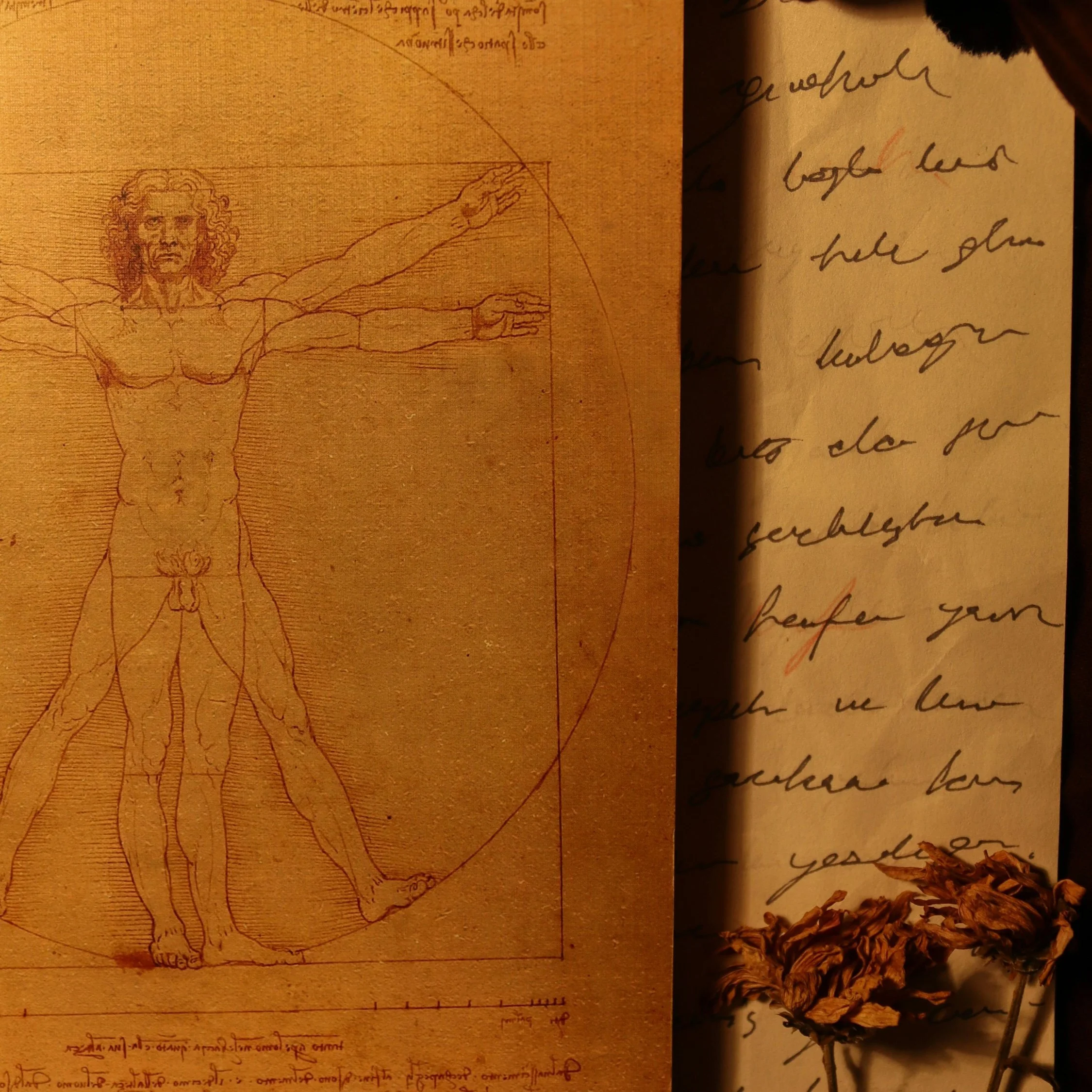 The 500-Year-Old Notebooks of Leonardo Da Vinci. — Carl Pullein