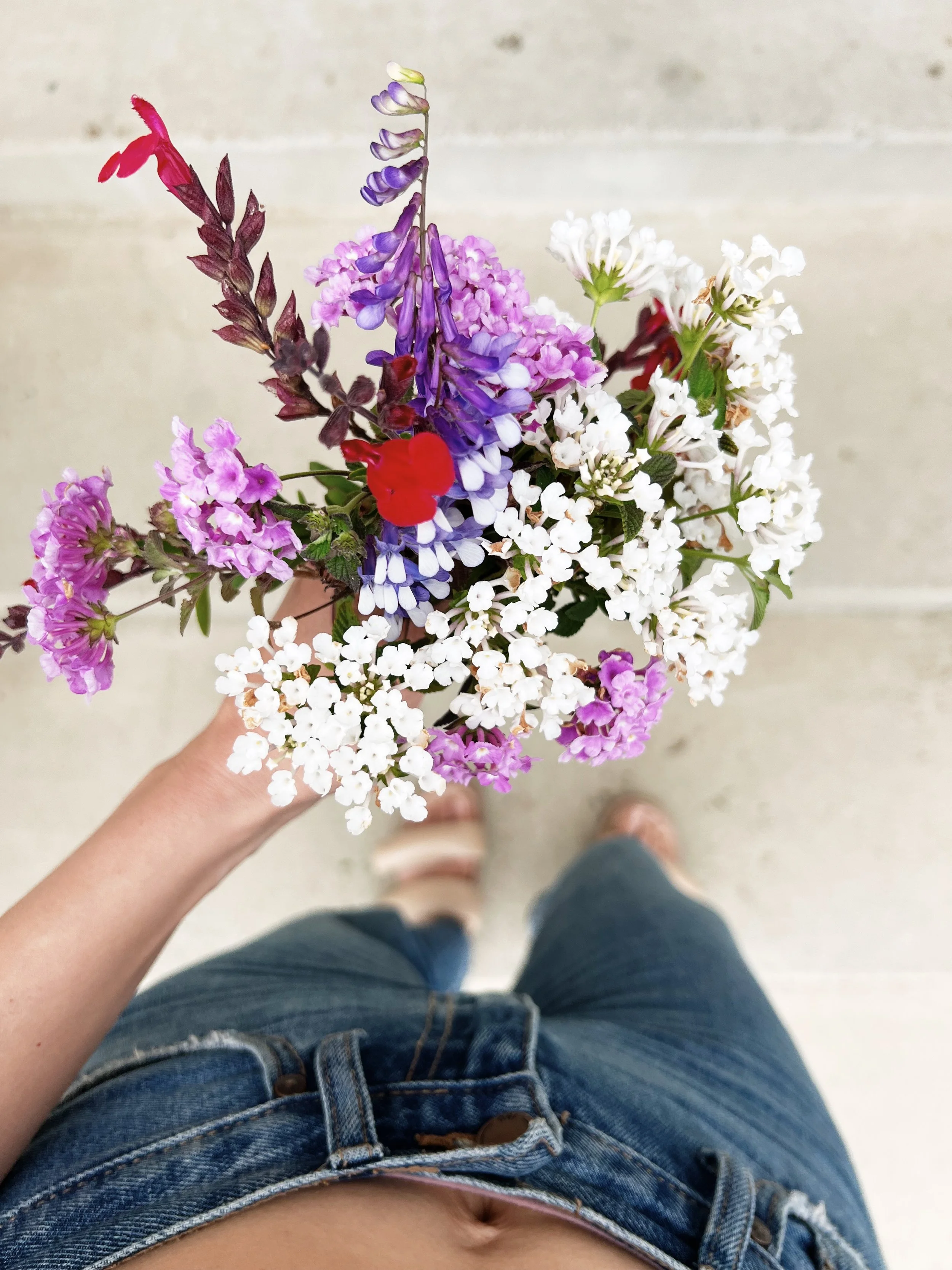 Why Connection — HEIDI LAKIN