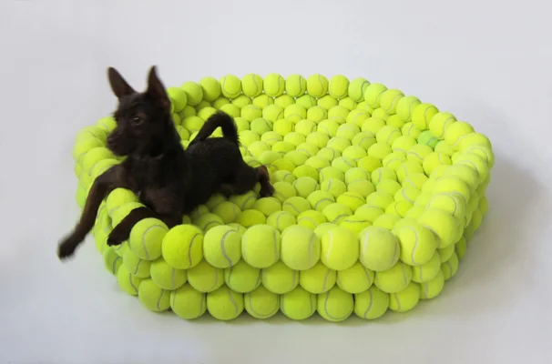 Tennis Ball Doggy Bed — The World of Kitsch