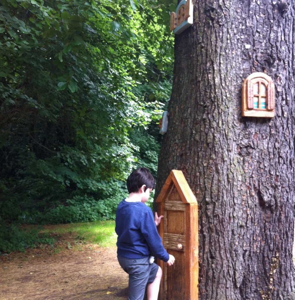 Another Day Trip Destination: Kilbroney Park Narnia Trail — The World ...