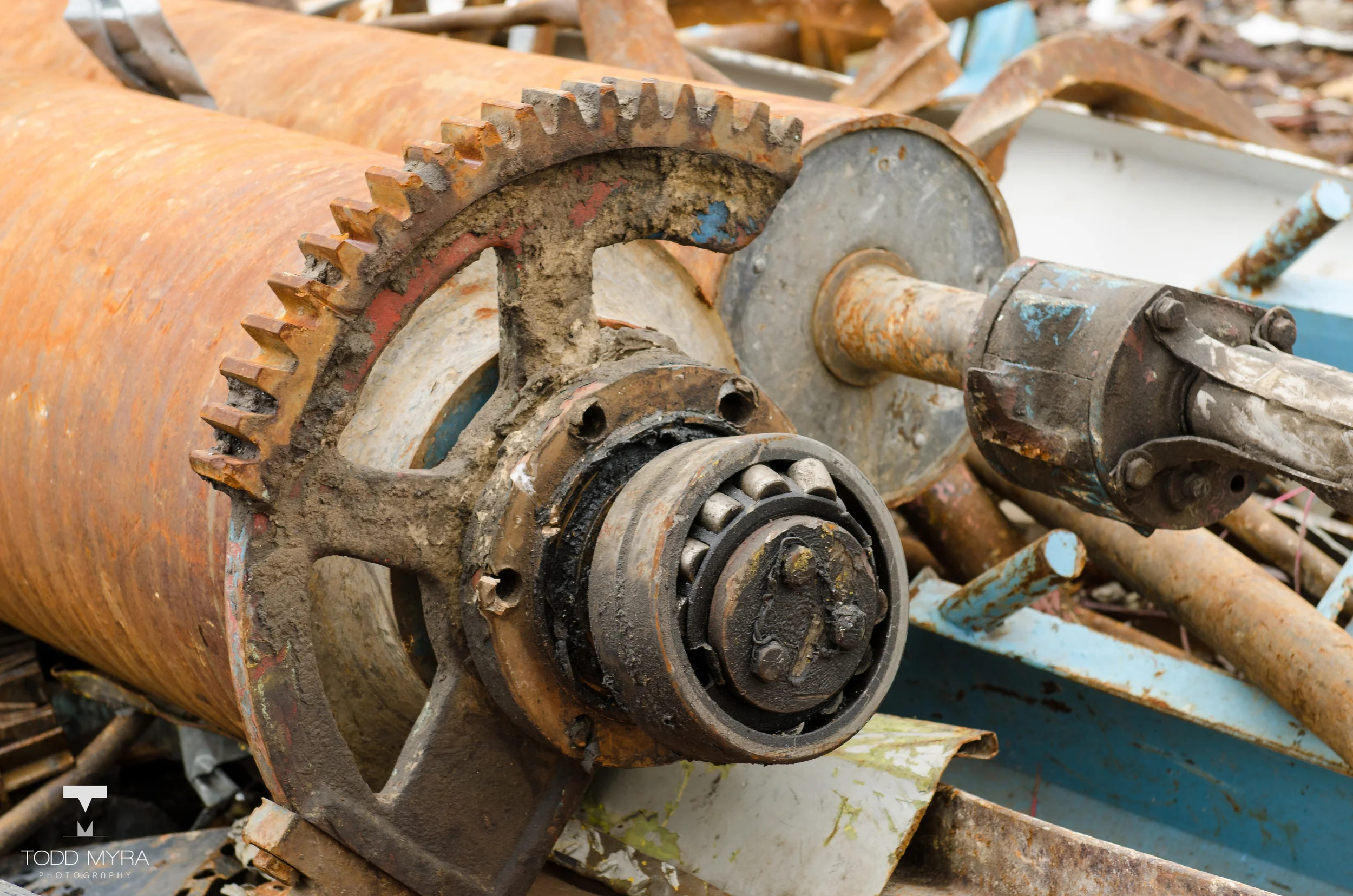 Sartell Paper Mill Project — heidi jeub