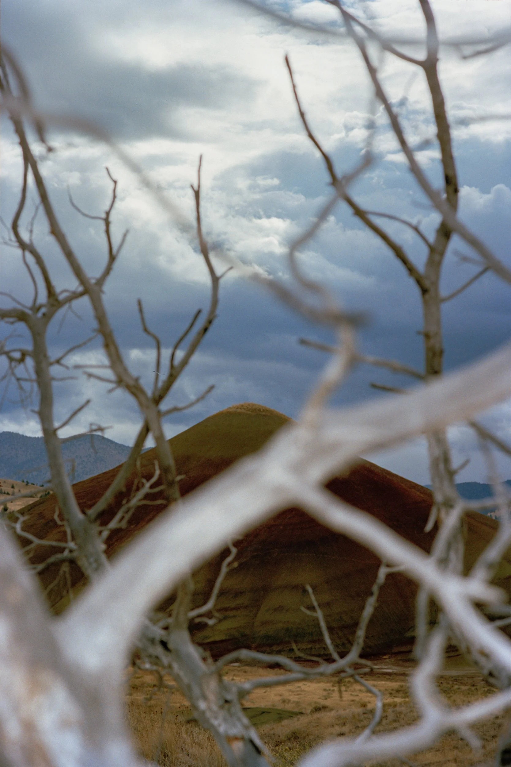 2007 - 2017 — Tatum Shaw