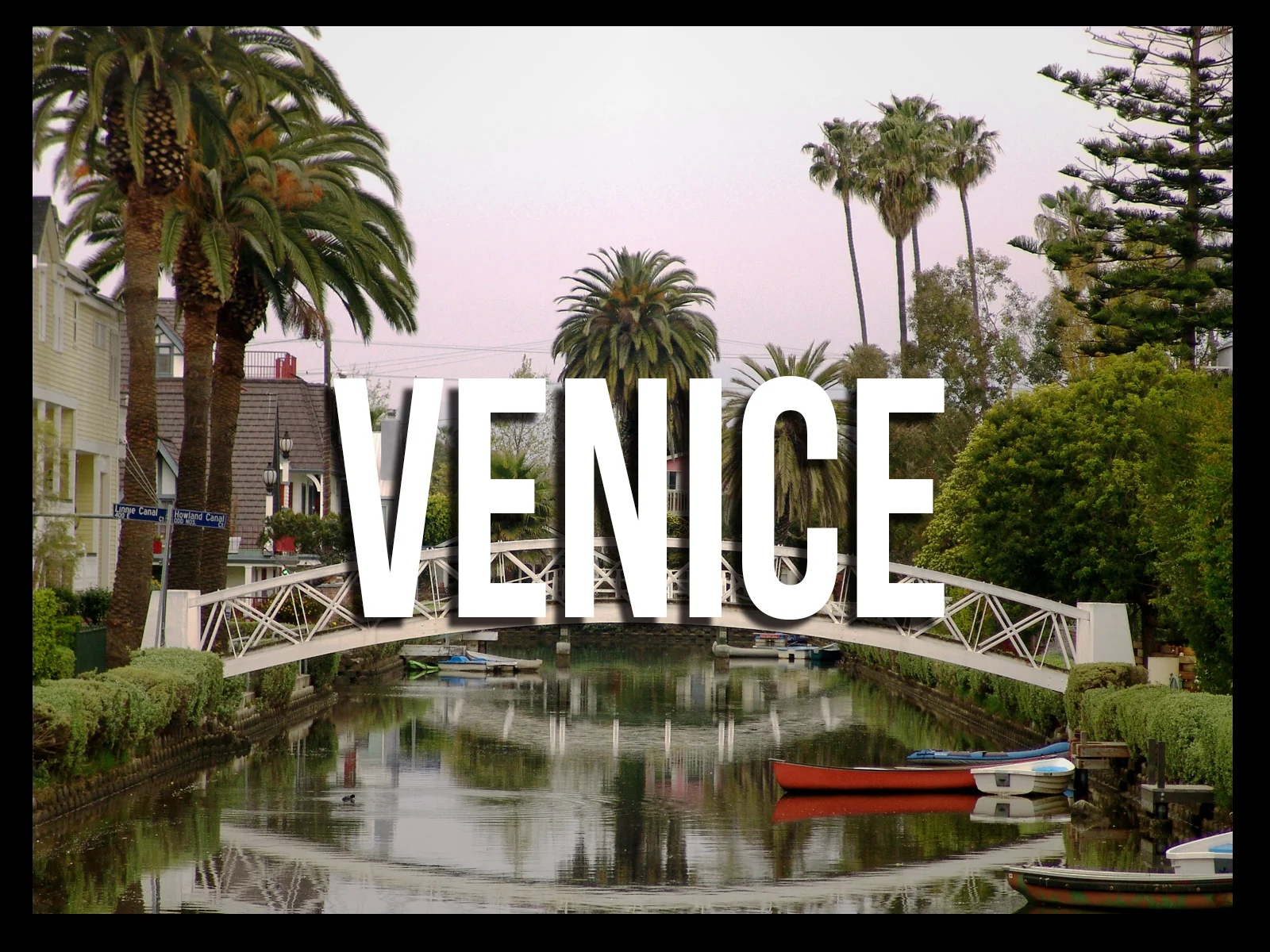 venice — Debbie Pisaro