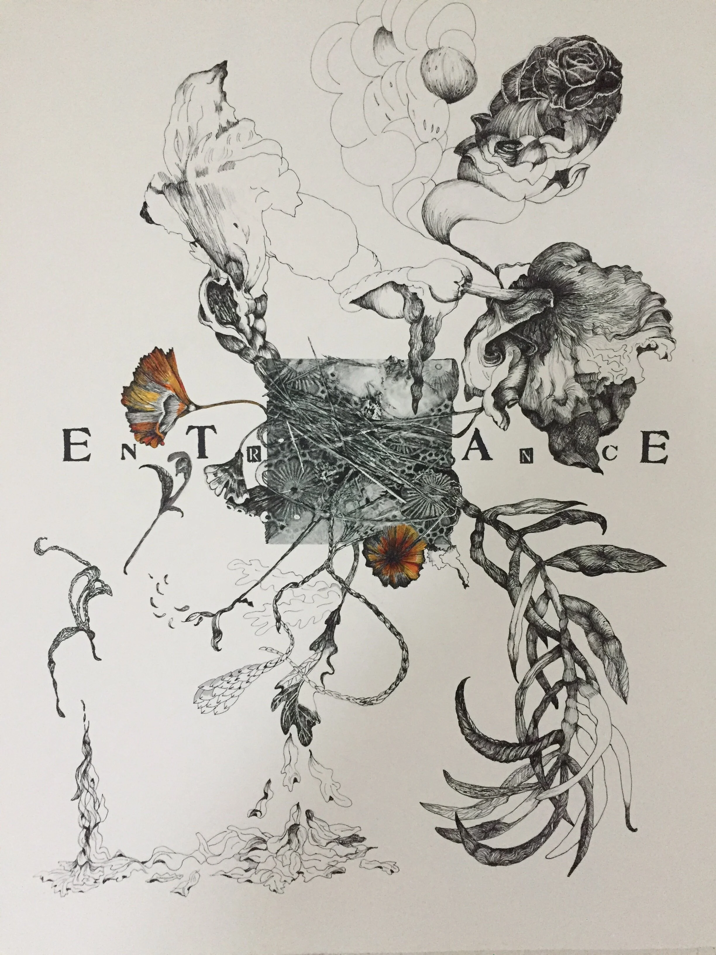 collaborations — Susan Webster