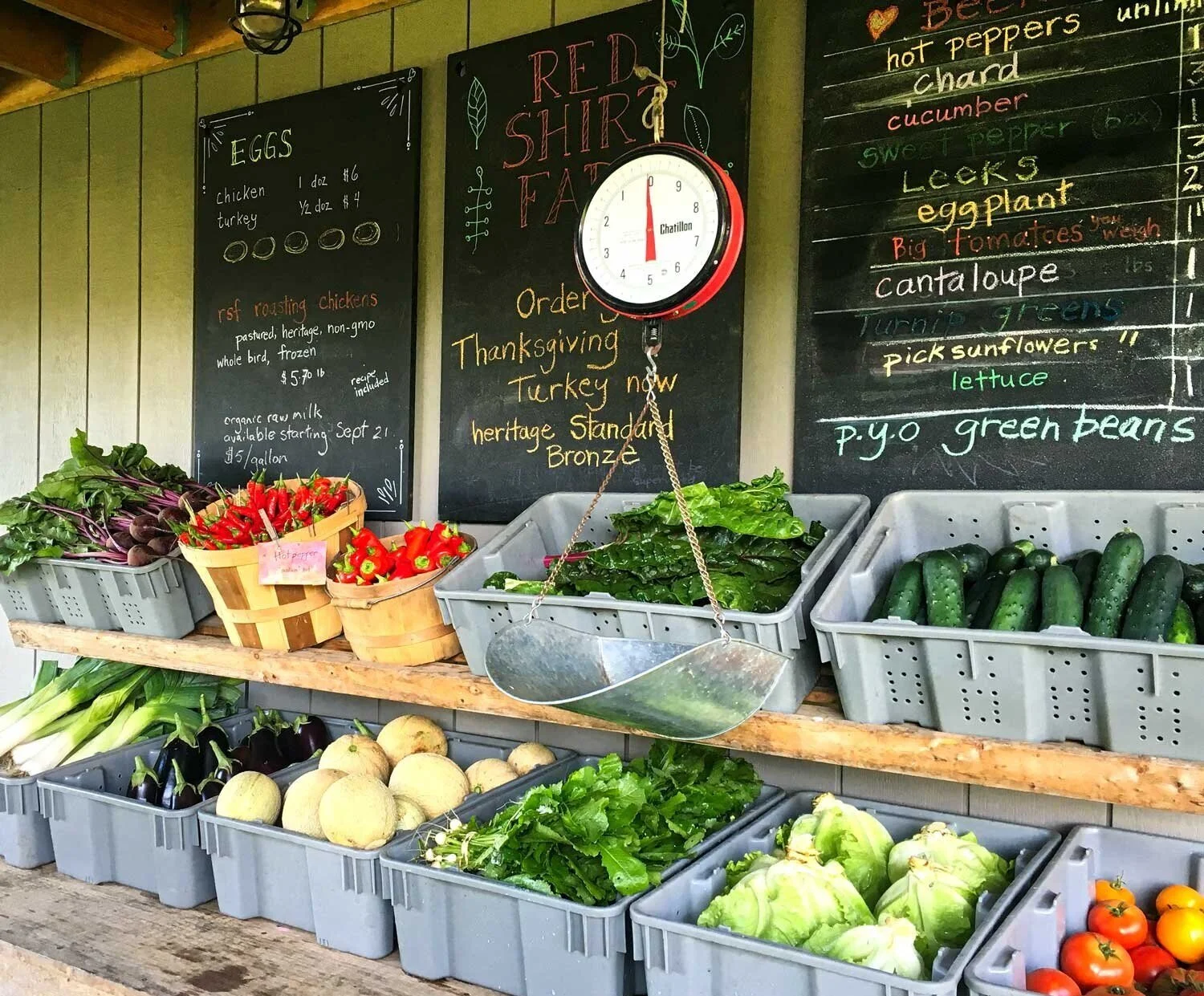 Red Shirt Farm — CSA