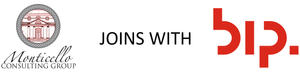 BIP. Monticello Consulting Group