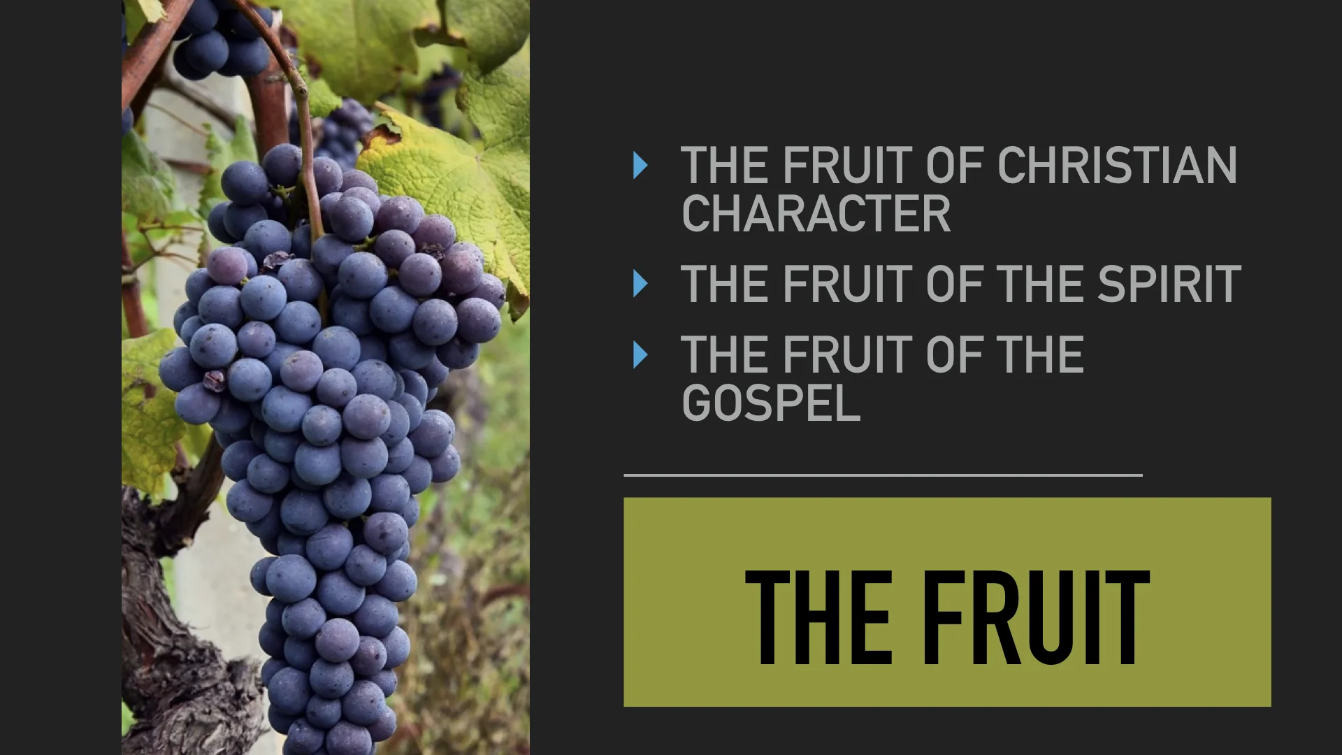 10 21 18 The Gospel Of John I Am The Vine Watershed Fellowship