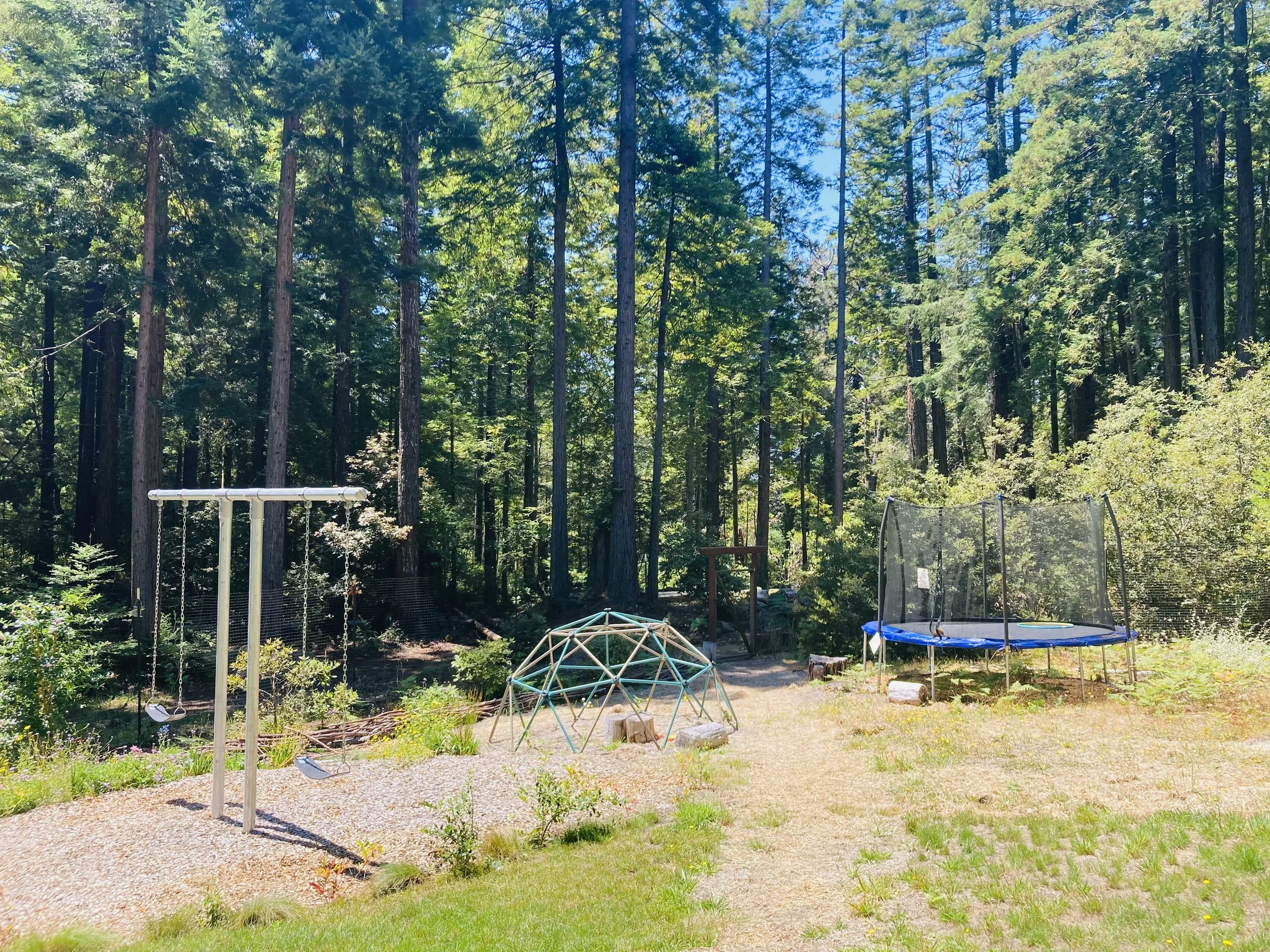 pictures — mendocino tree house