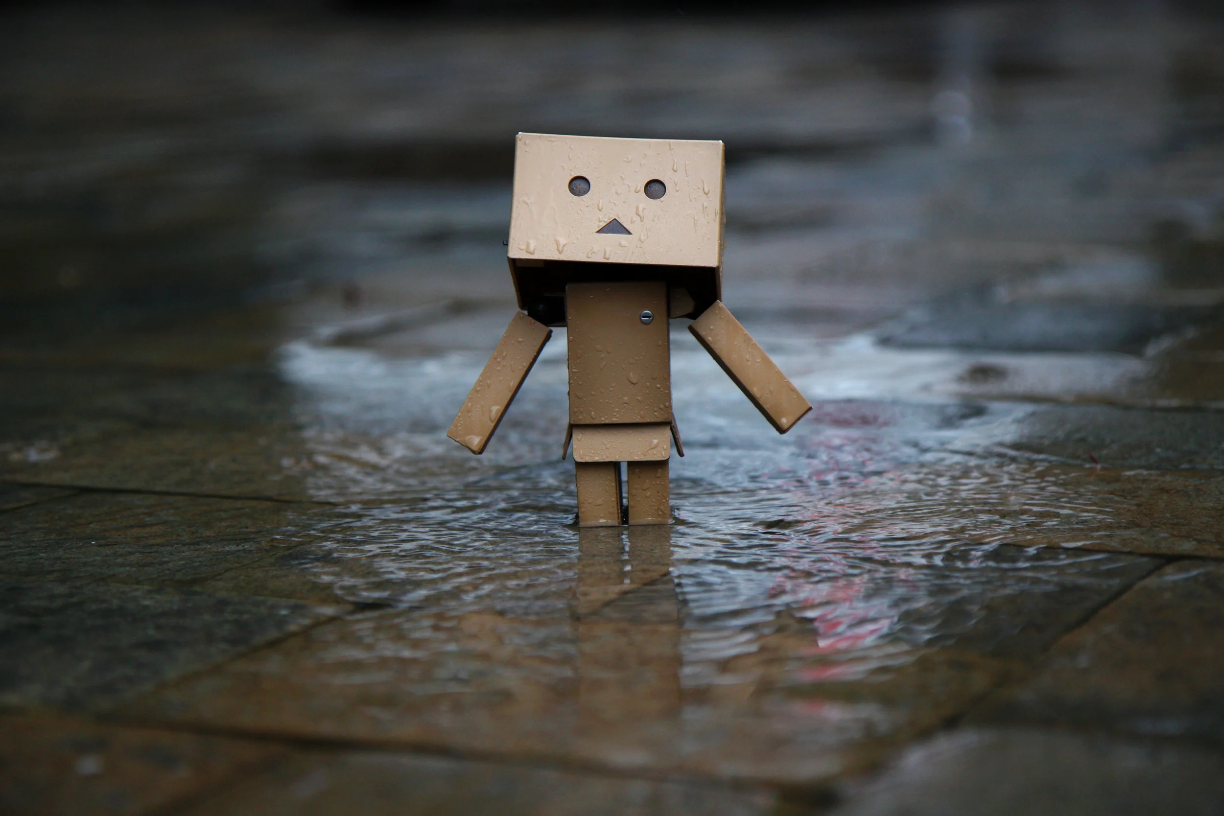 365 Days of Danboard — Arielle Nadel