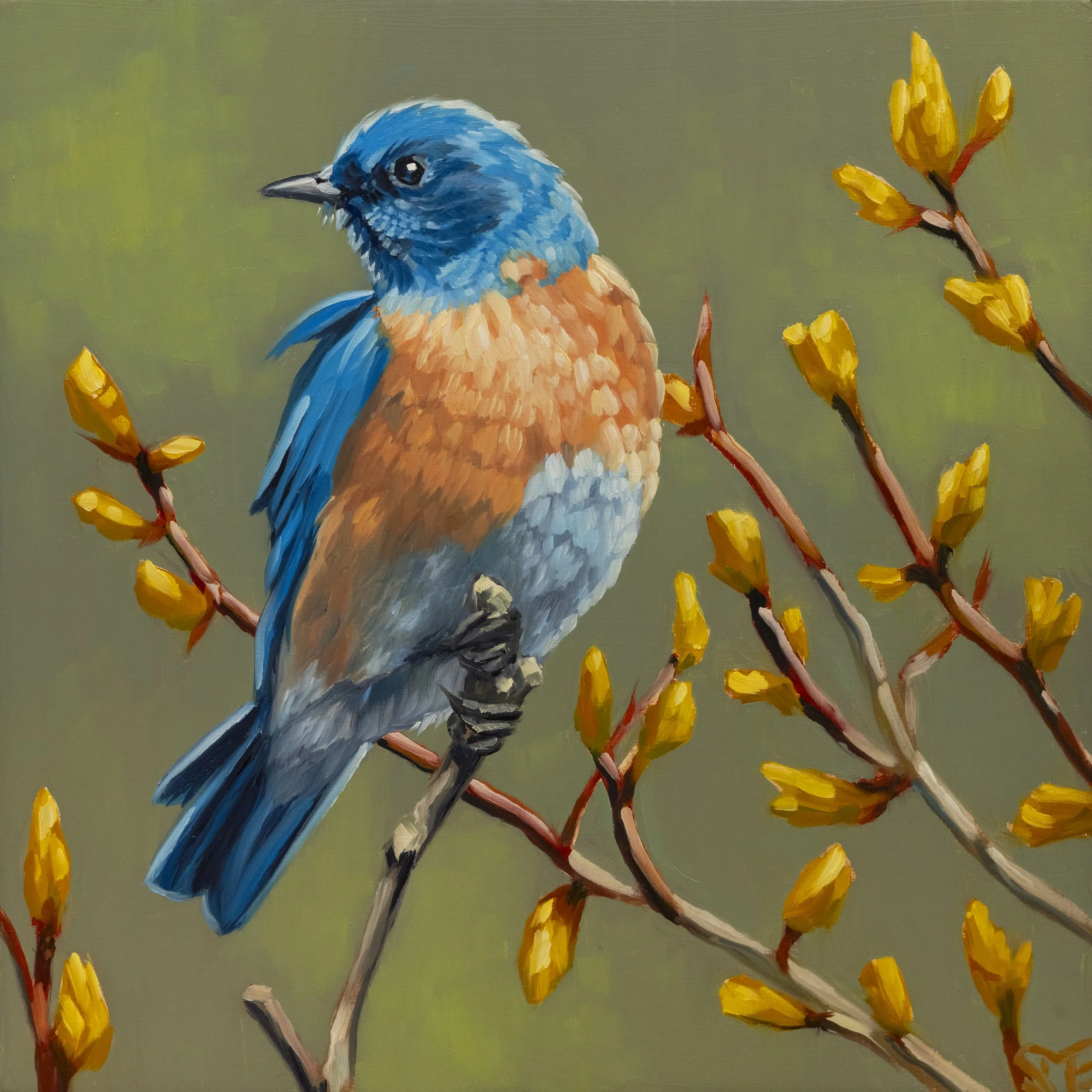 Birds — SHEILA M. EVANS STUDIO