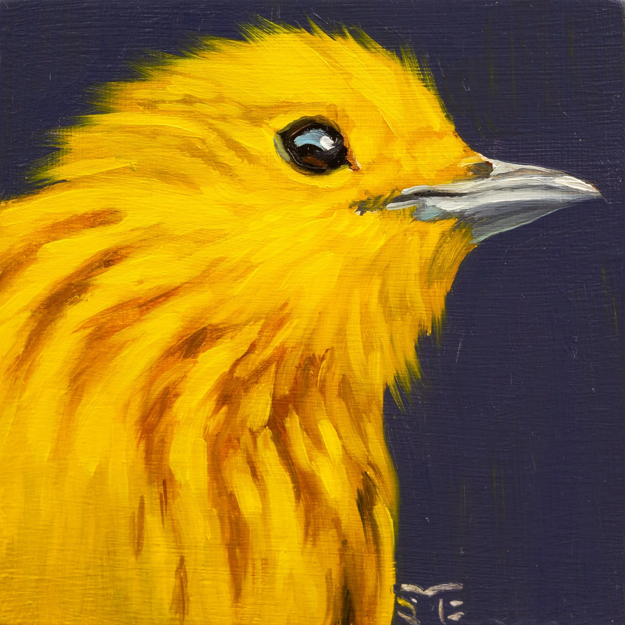 4x4 Bird Portraits — SHEILA M. EVANS STUDIO