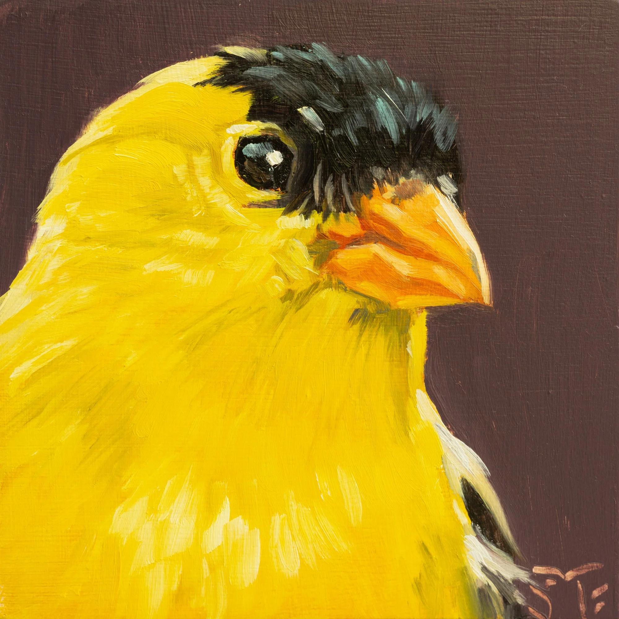 4x4 Bird Portraits — SHEILA M. EVANS STUDIO
