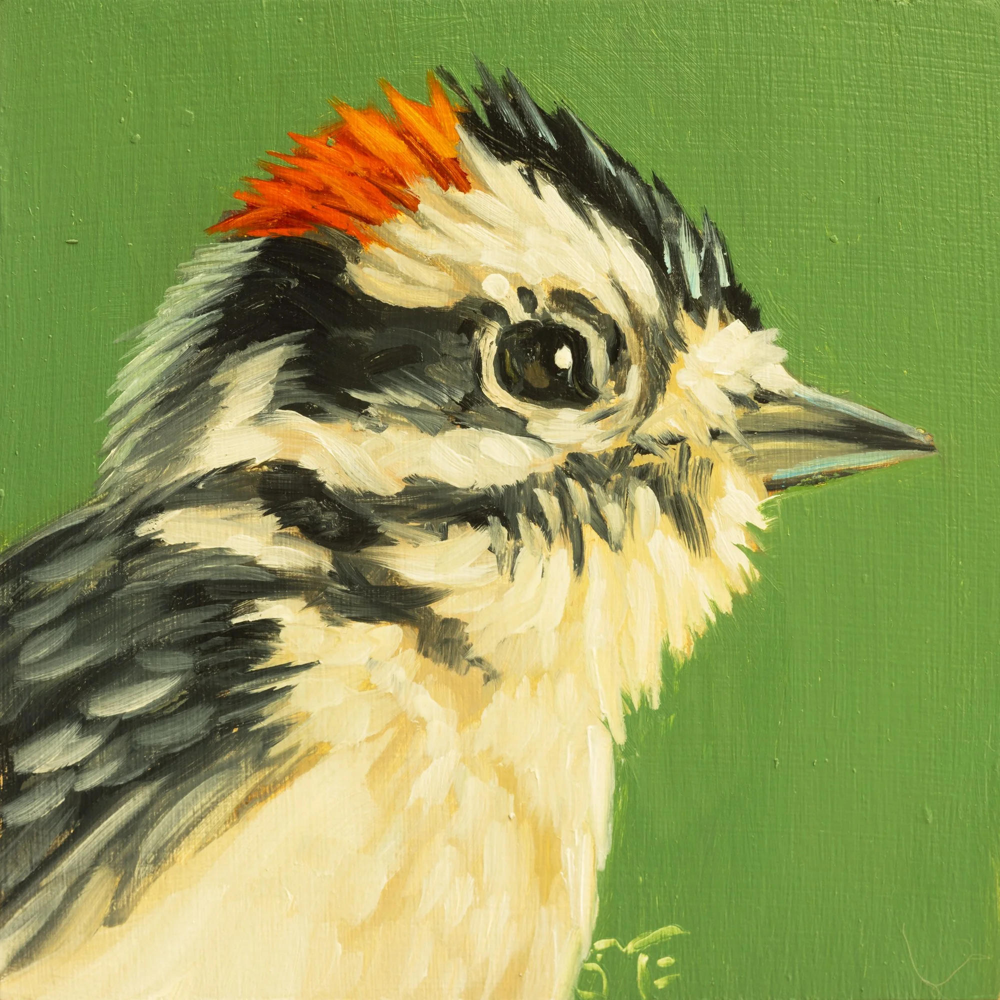 4x4 Bird Portraits — SHEILA M. EVANS STUDIO