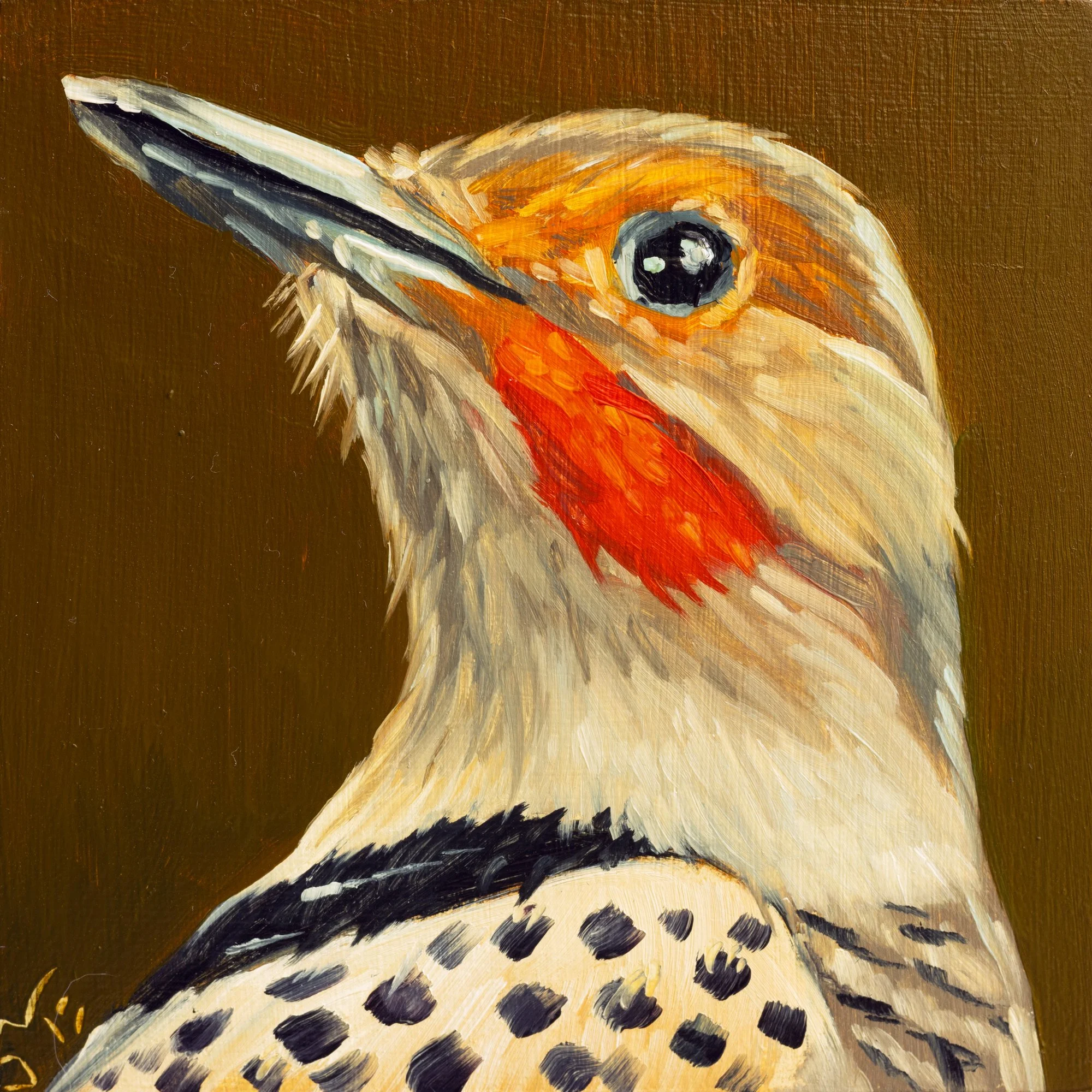 4x4 Bird Portraits — SHEILA M. EVANS STUDIO