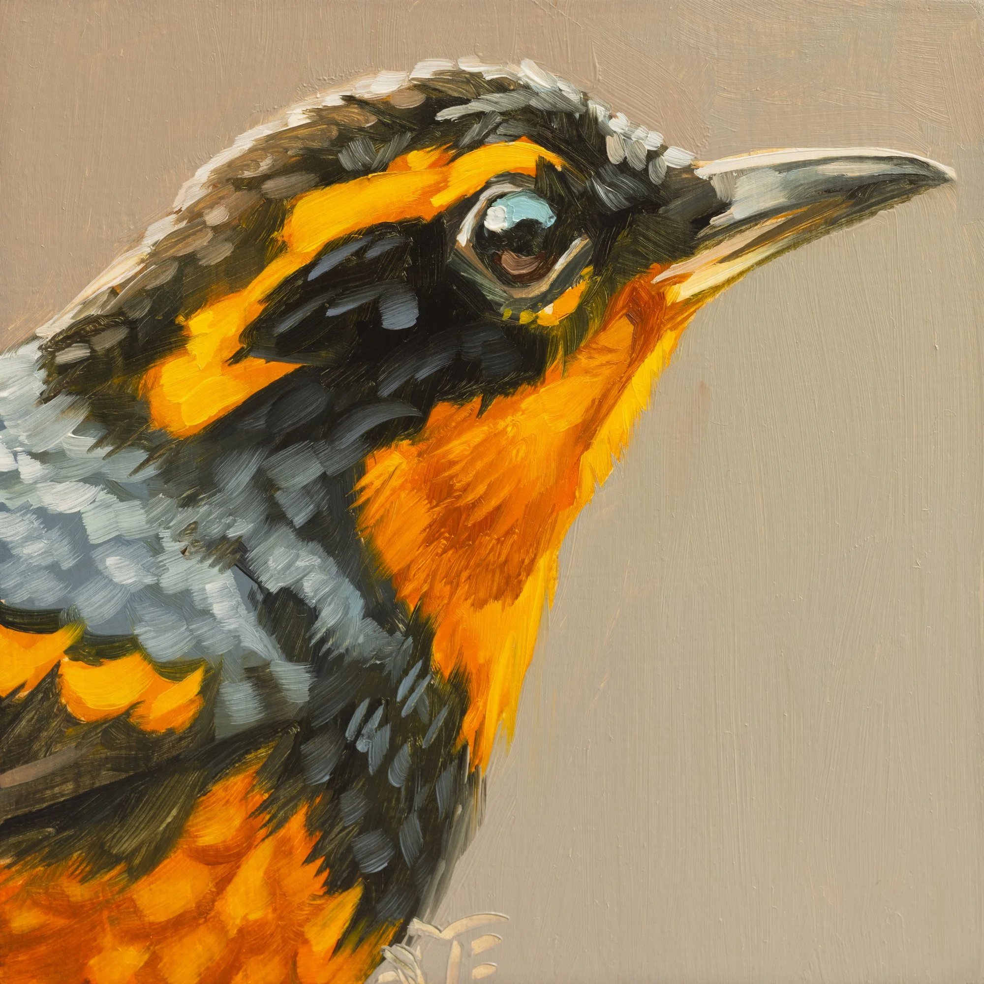 4x4 Bird Portraits — SHEILA M. EVANS STUDIO