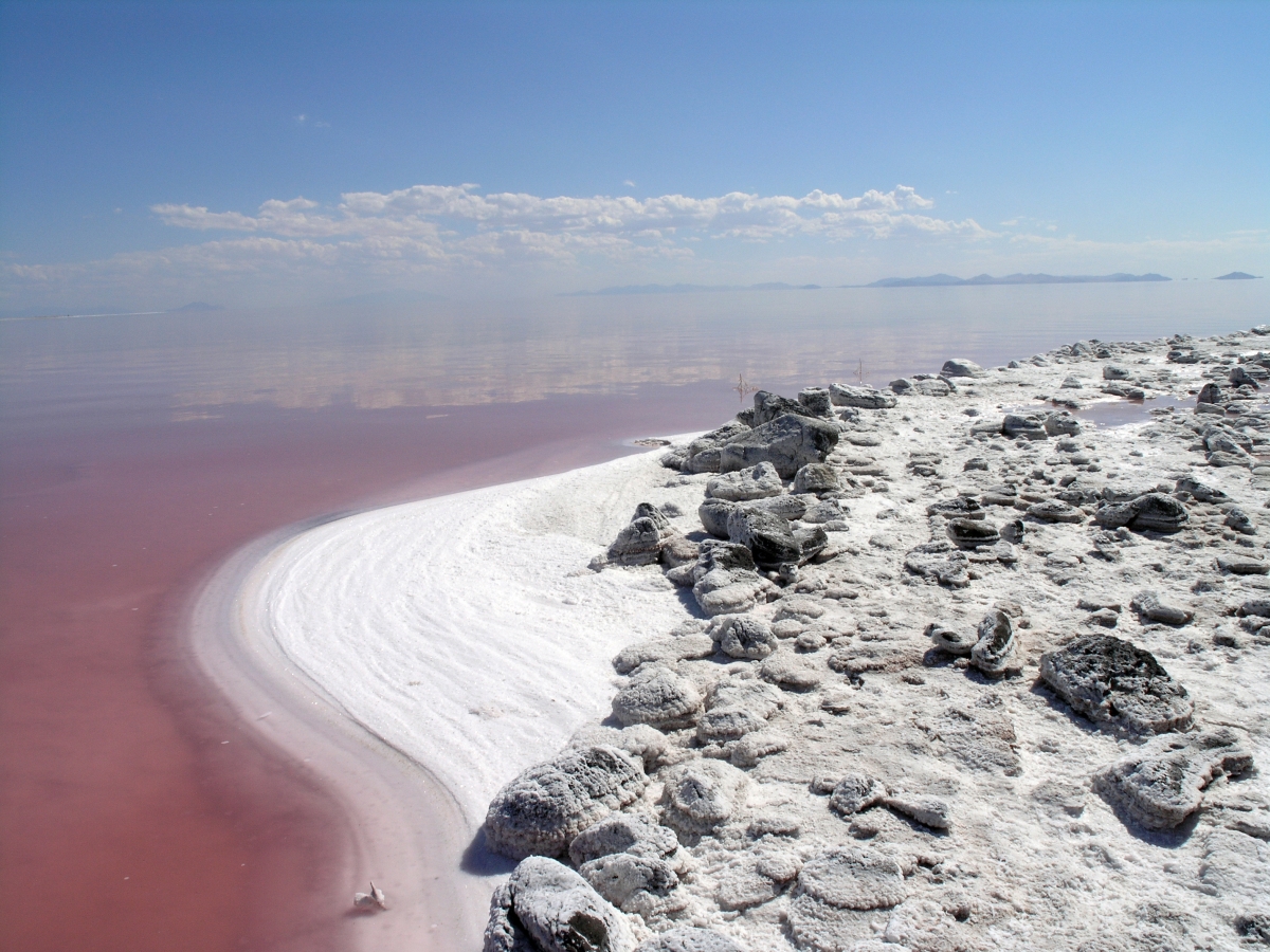 TOUR OF GREAT SALT LAKE BY BUS — Tours of Utah