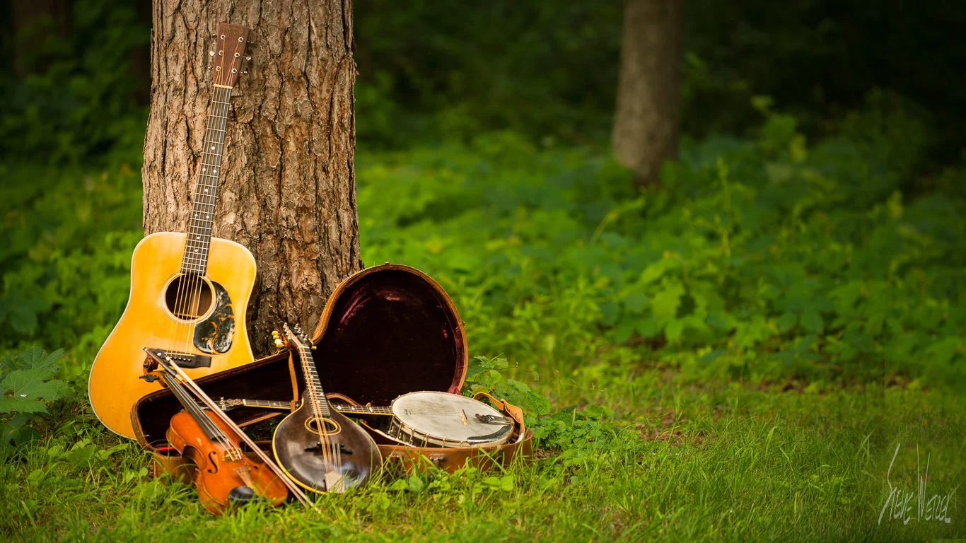 Steve Wetzel Photography