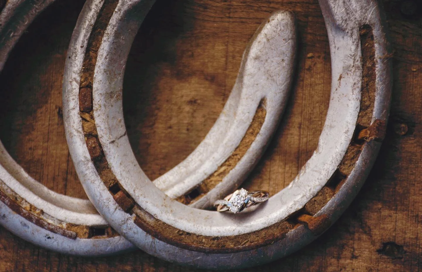 GALLERIES — Harmony Renee Photography