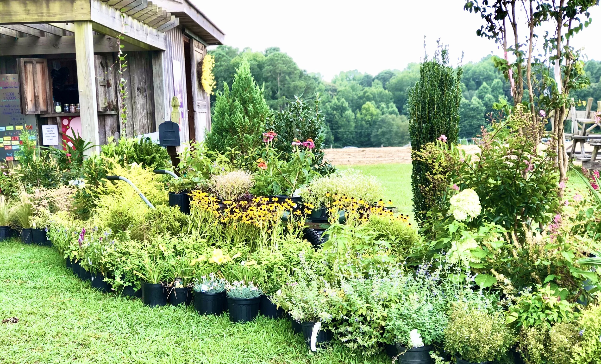 Farm Market and Garden Center - Retail — Smith's Nursery and Smith's ...
