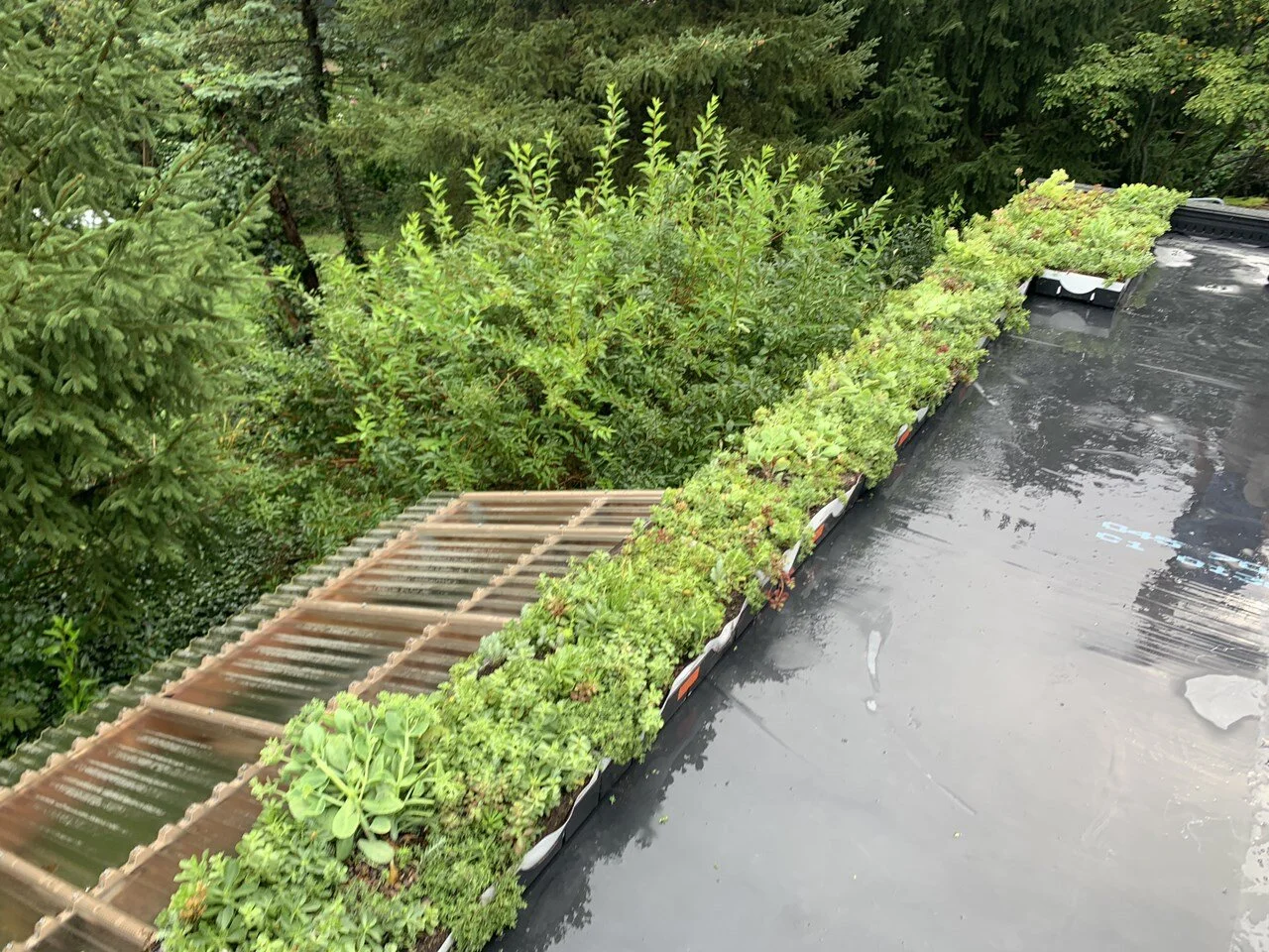 Neighborhood Roofing - Full Service Roofing Company