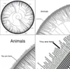 download the tree of life... — ARTIVIST : creative by any means necessary!