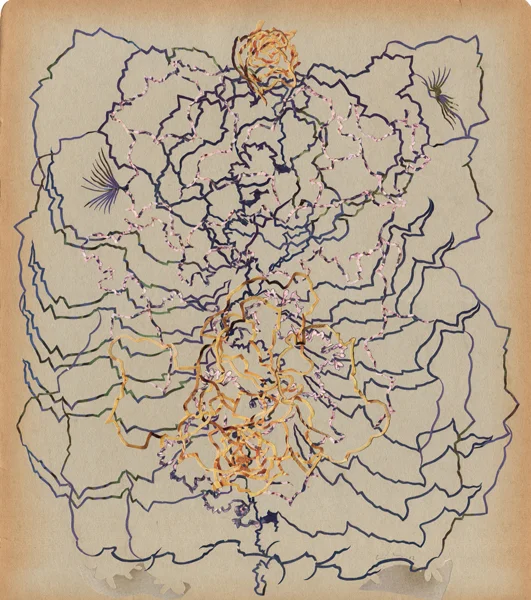 Drift - Alexis Mackenzie & Francesca Berrini — Ampersand