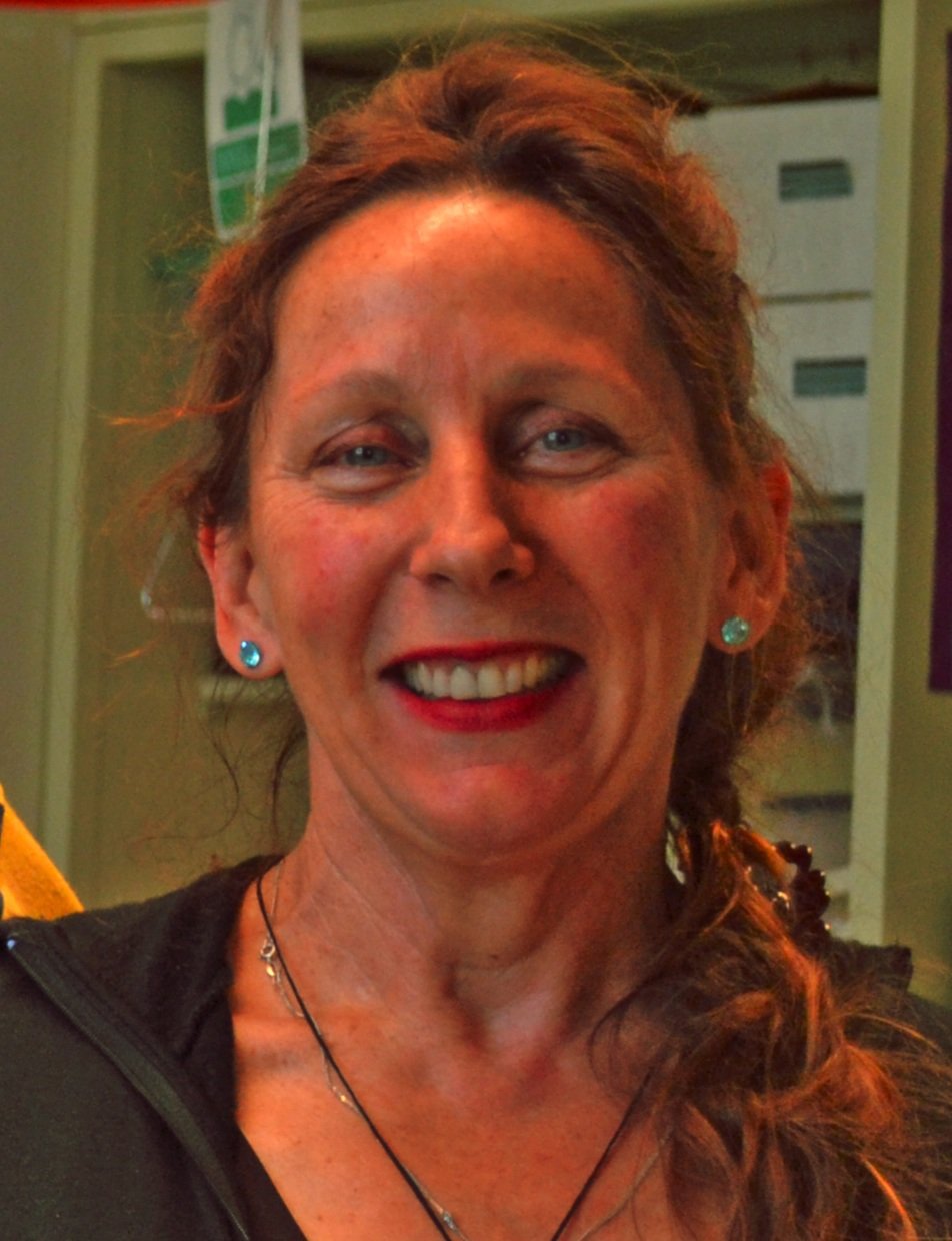 About Raewyn Turner — Raewyn Turner Artist