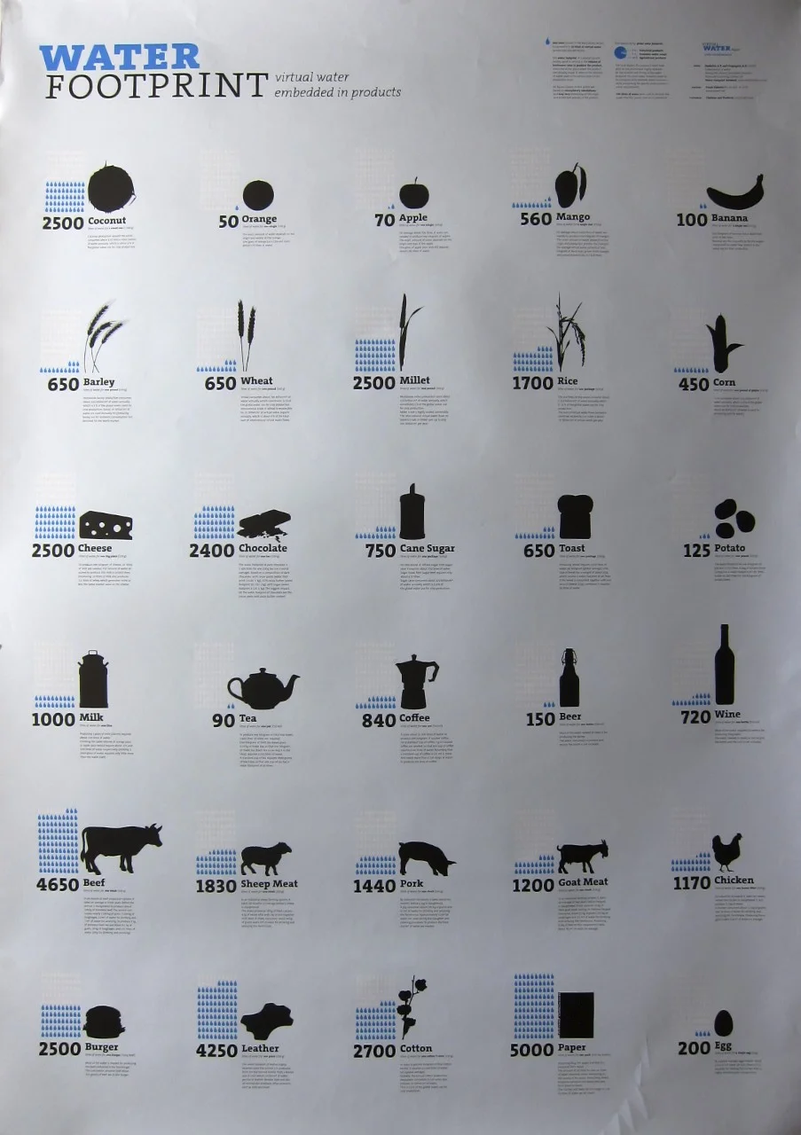 Virtual Water Footprint Poster — Murray GM