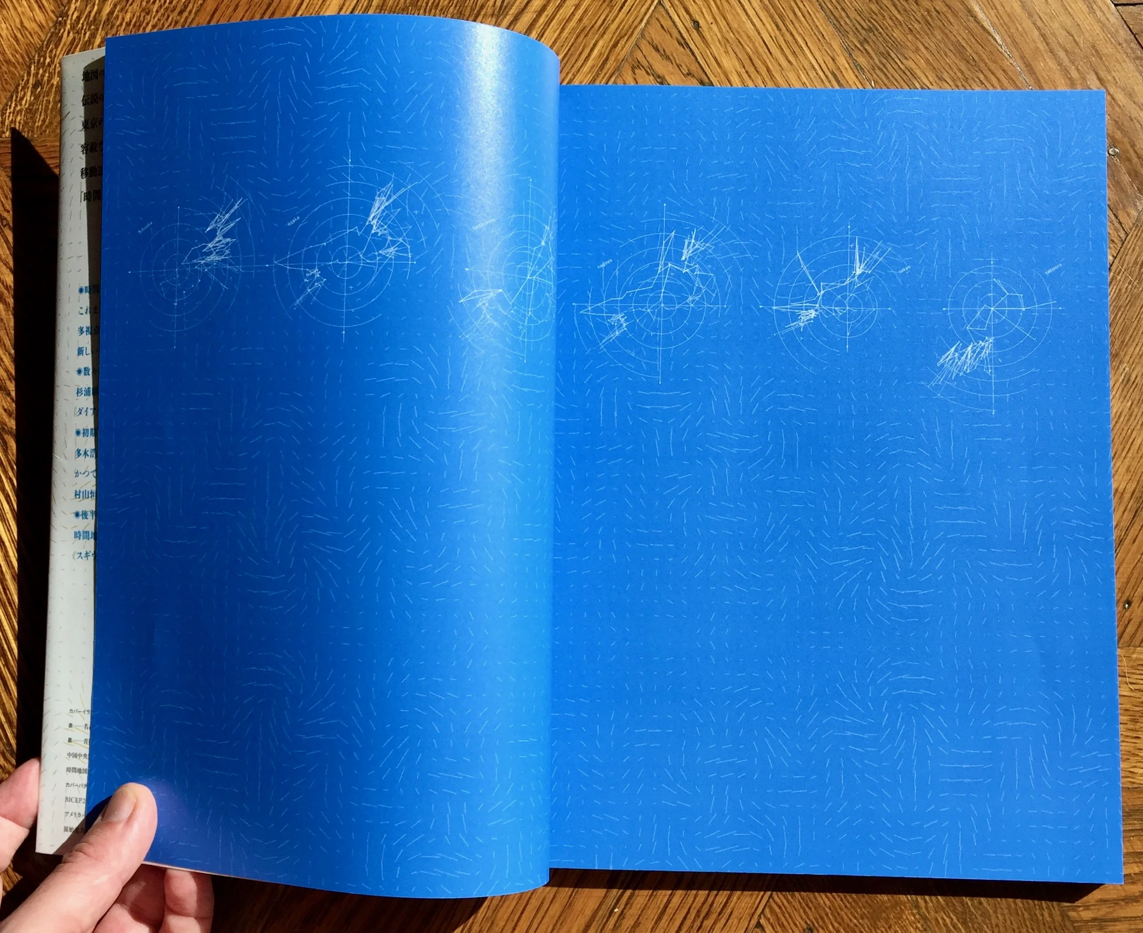 The Glorious Data Visualisations of Kohei Sugiura — paperposts