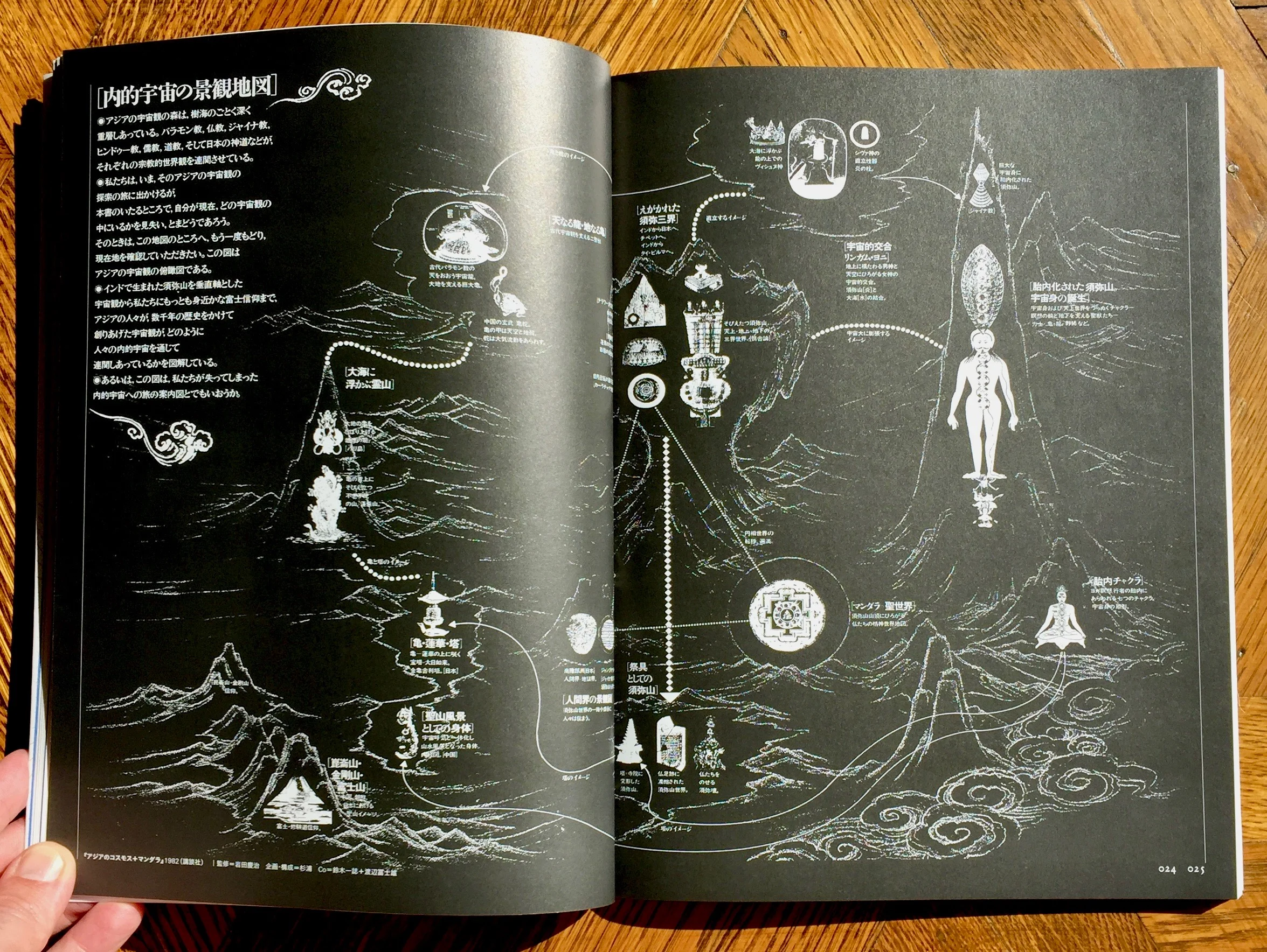 The Glorious Data Visualisations of Kohei Sugiura — paperposts