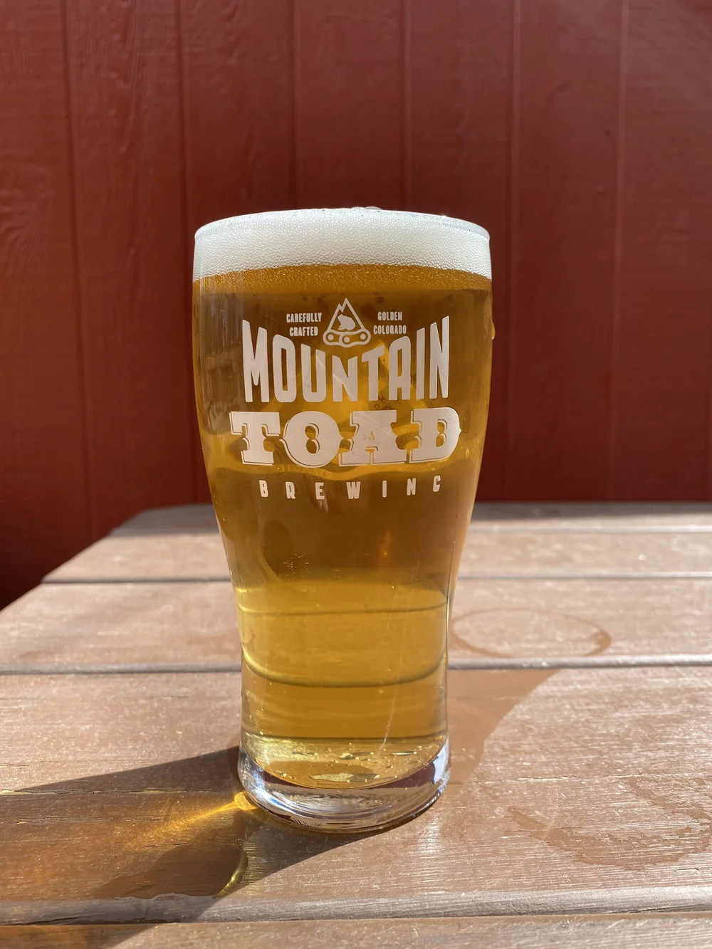 Czech Lager — Mountain Toad Brewing
