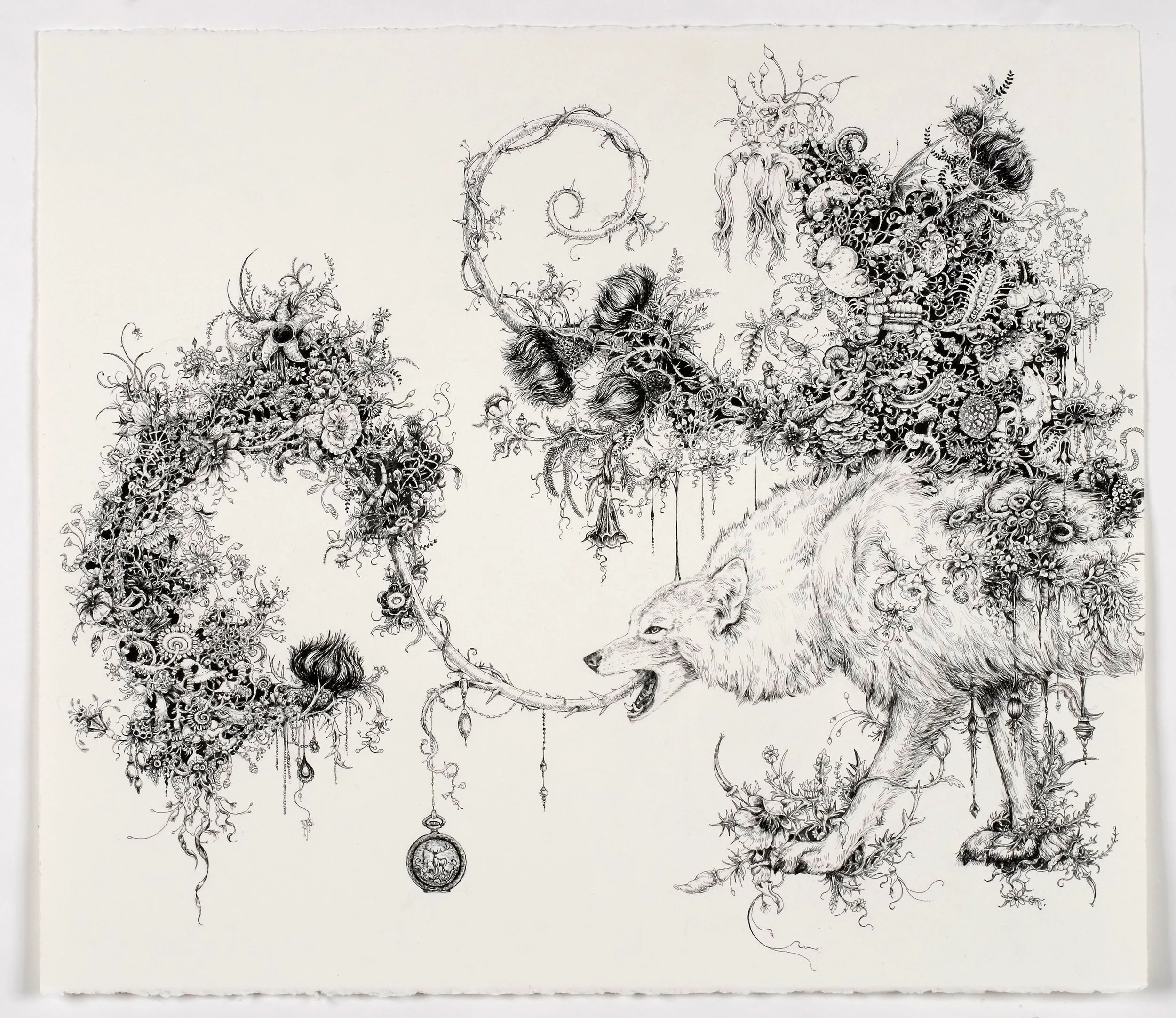 Ink Drawings — Laura Bell Studio