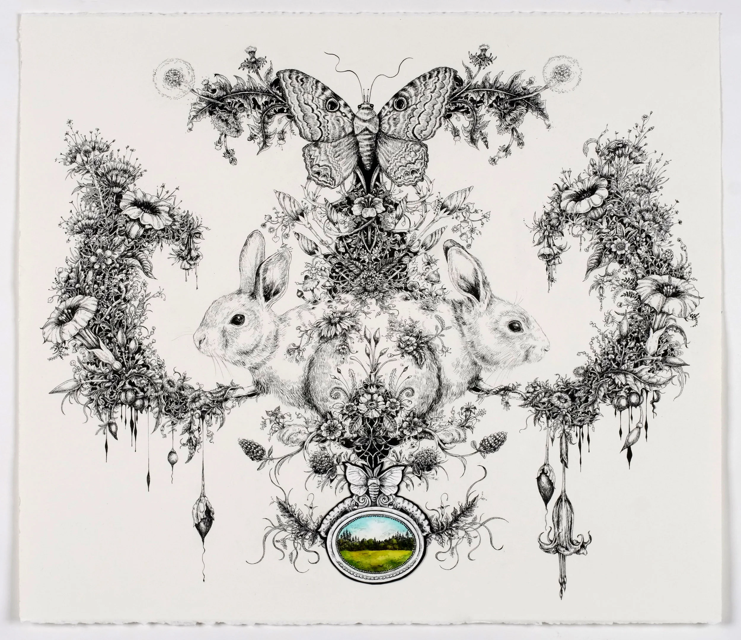 Ink Drawings — Laura Bell Studio