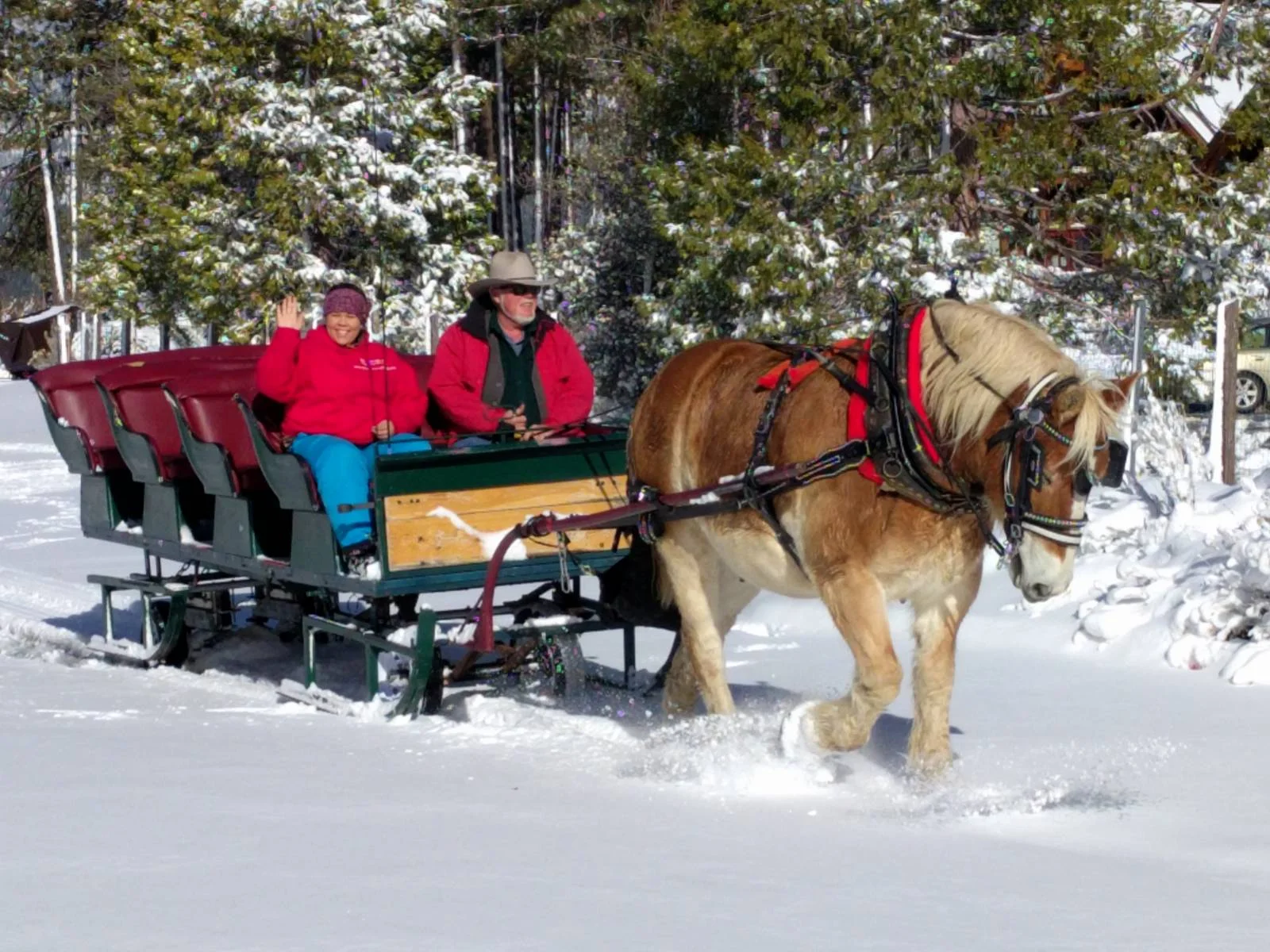 Borges Sleigh and Carriage Rides
