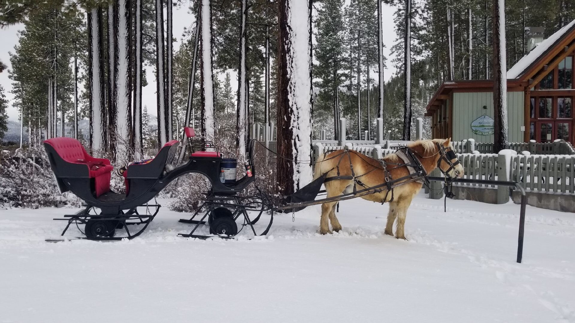 Sleigh RIdes at Sand Harbor State Park — Borges Sleigh and Carriage Rides