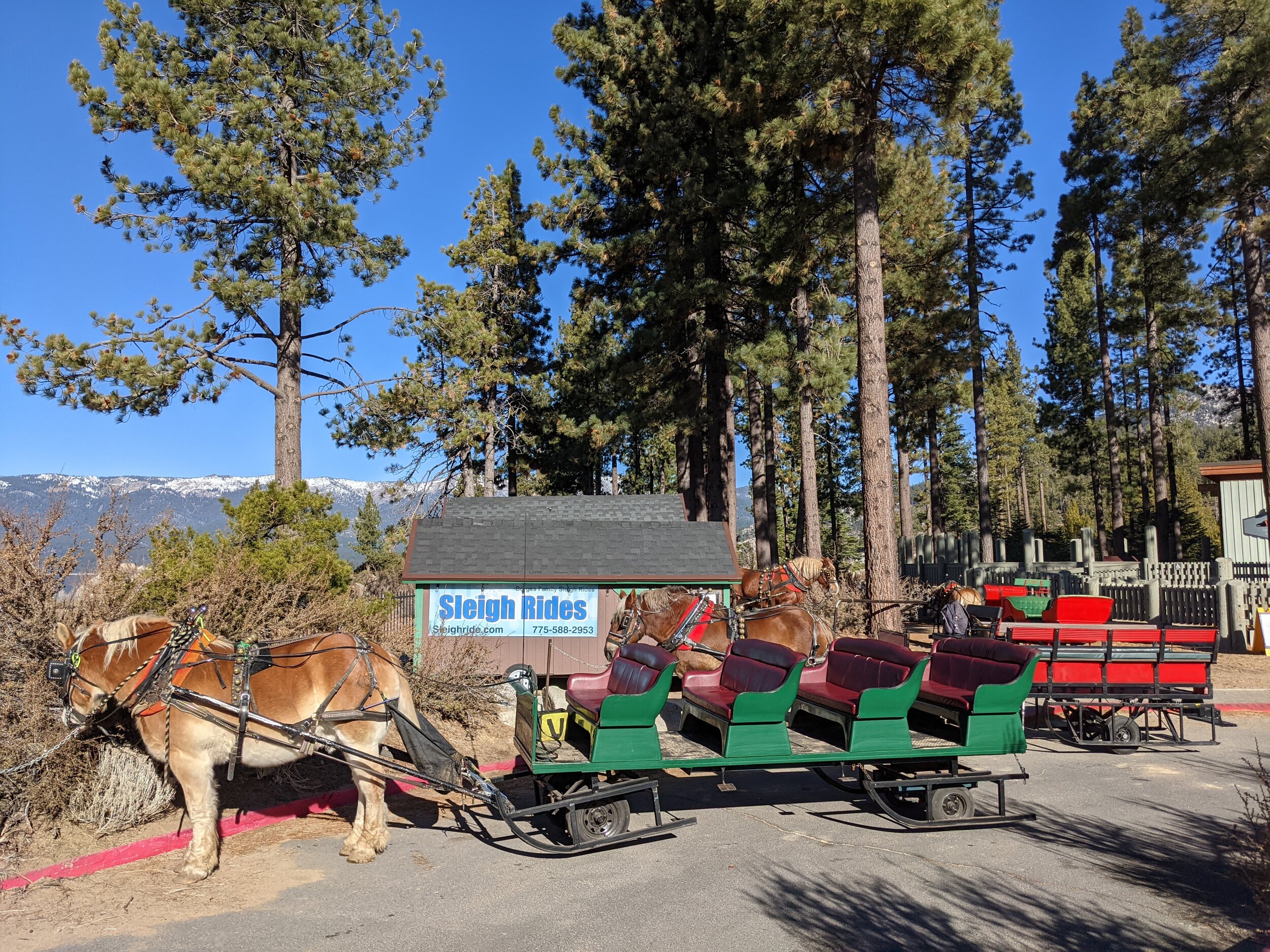 Borges Sleigh and Carriage Rides