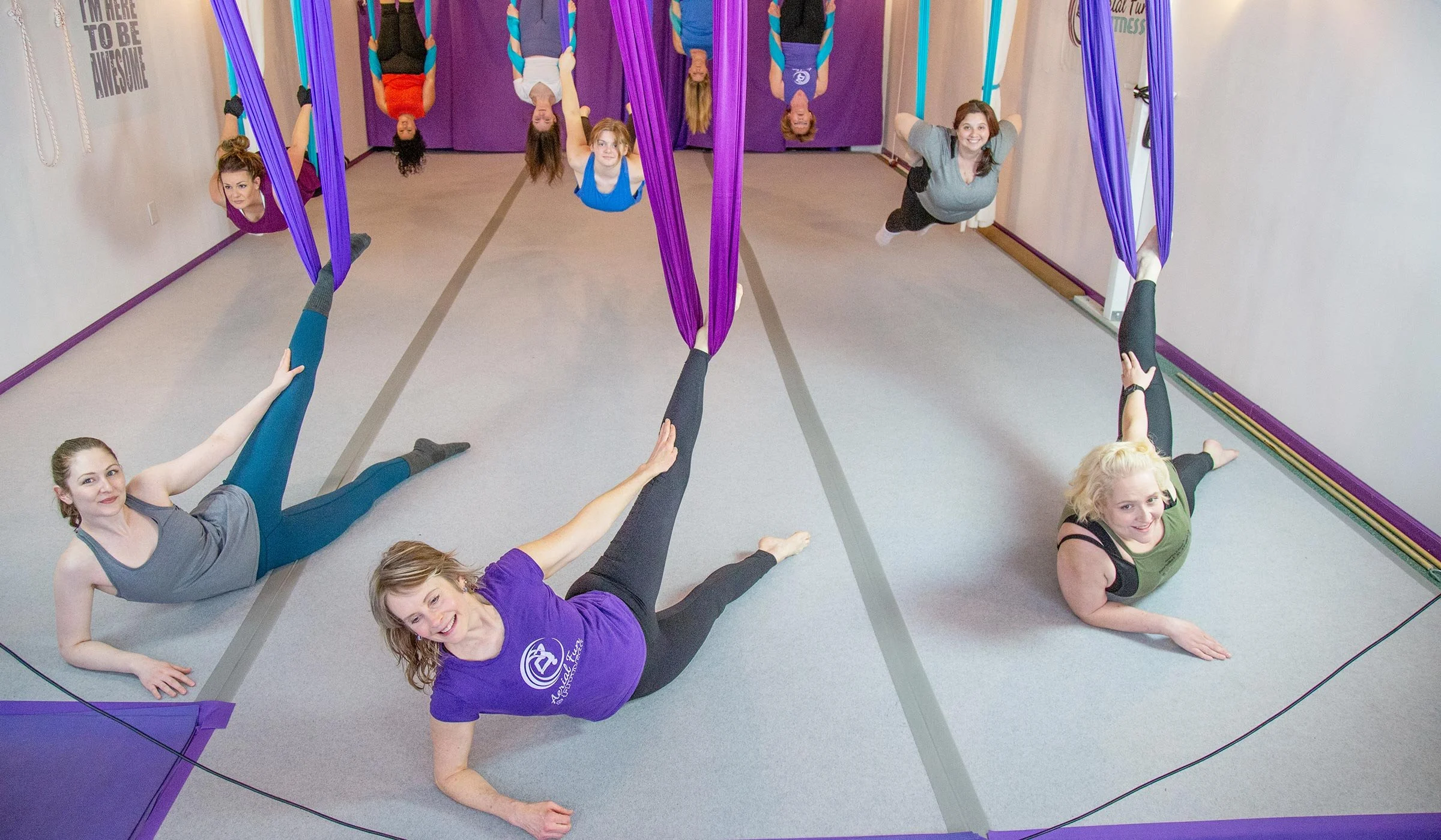 Aerial Fitness Classes and Aerial Technique™ Teacher Training