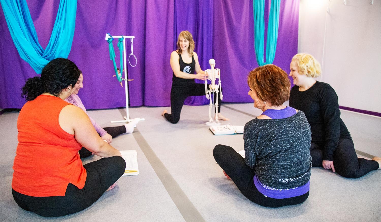 Aerial Fitness Classes and Aerial Technique™ Teacher Training