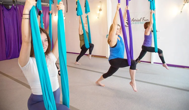 Aerial Fitness Classes and Aerial Technique™ Teacher Training