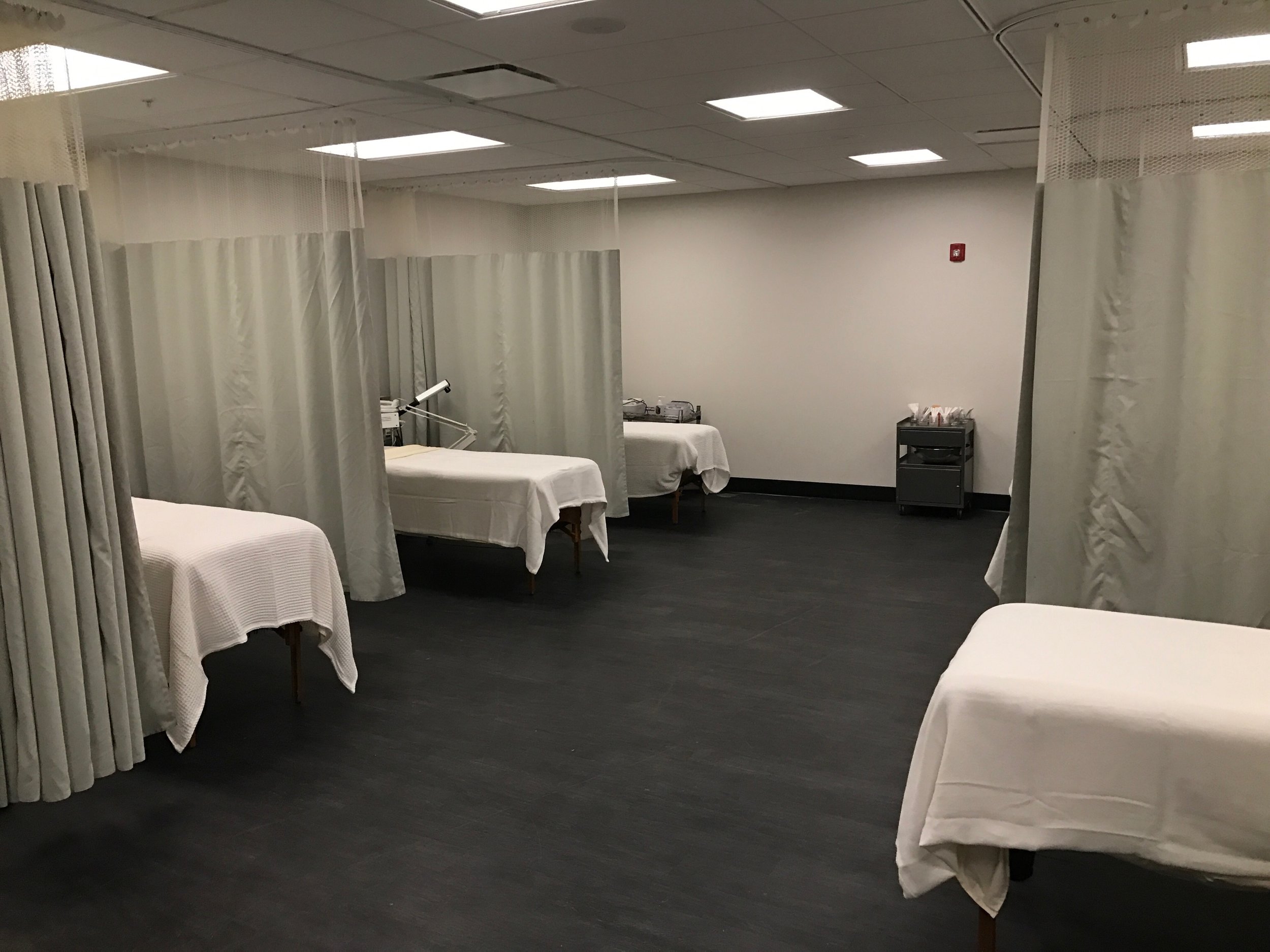 Cosmetology at Brown Aveda Institute — Brown Aveda Institute